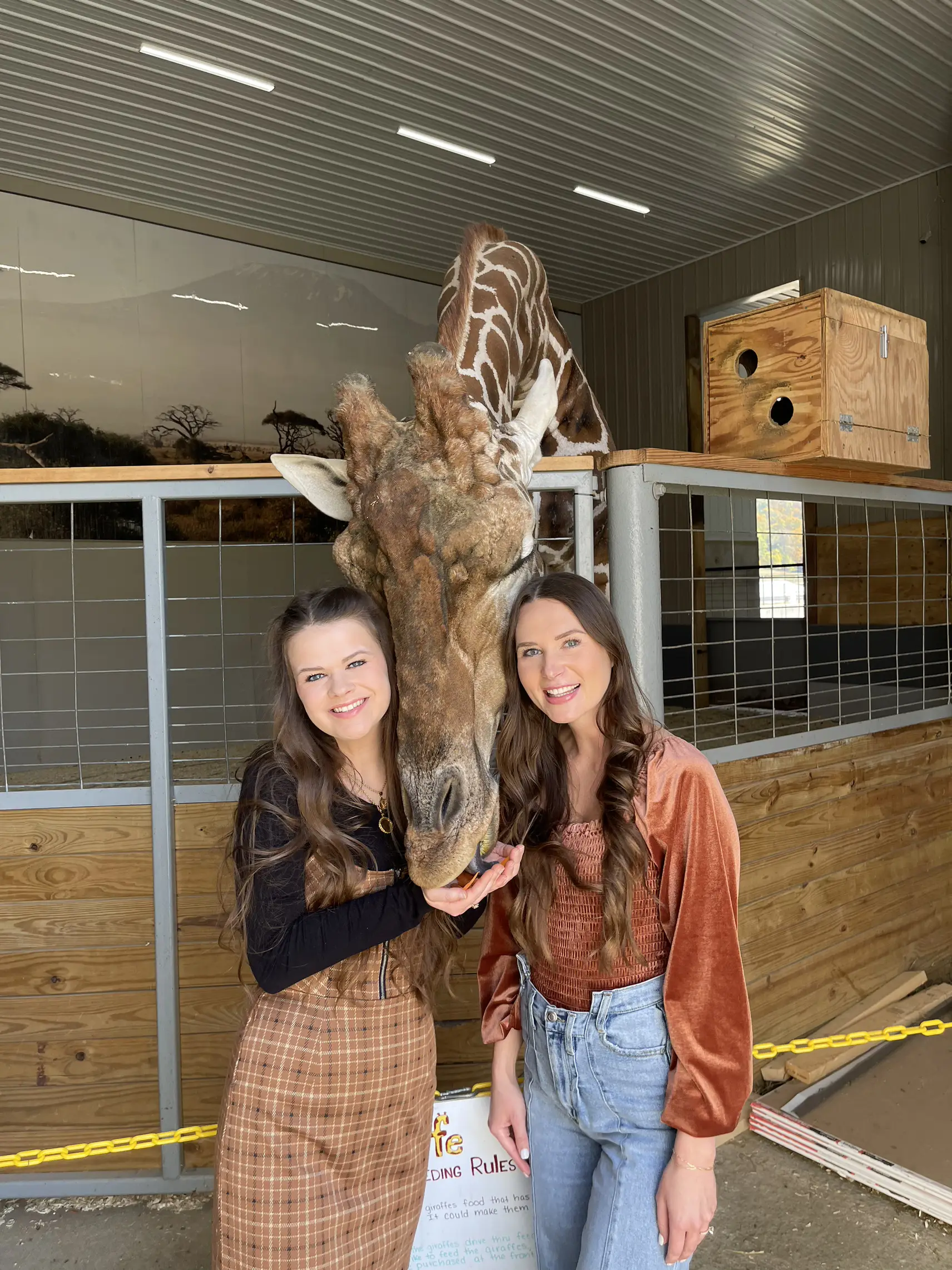 Indiana Wildlife Encounters | Gallery posted by Olivia Crowder | Lemon8