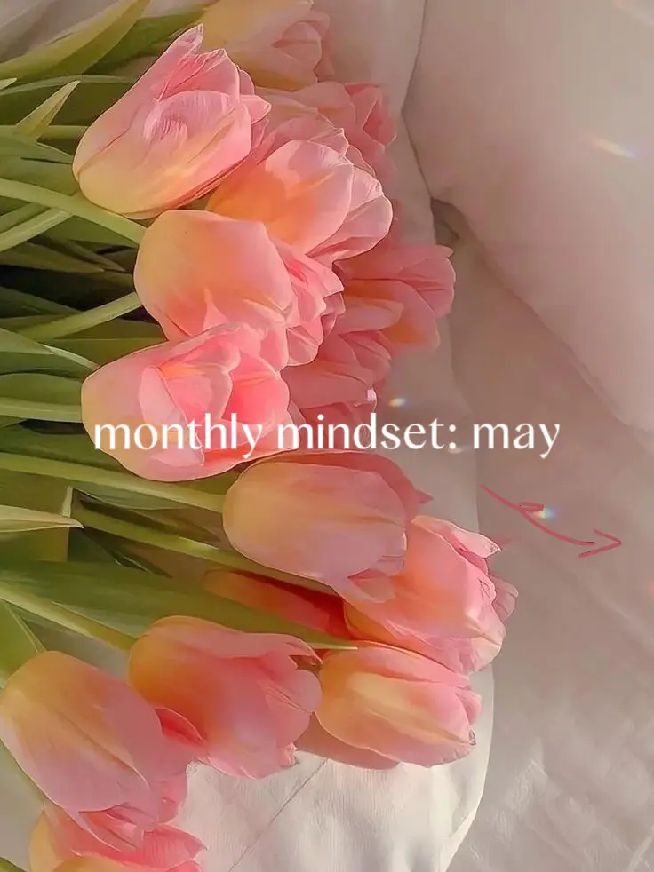 monthly mindset: MAY 🌷 | แกลเลอรีที่โพสต์โดย hannahslife | Lemon8