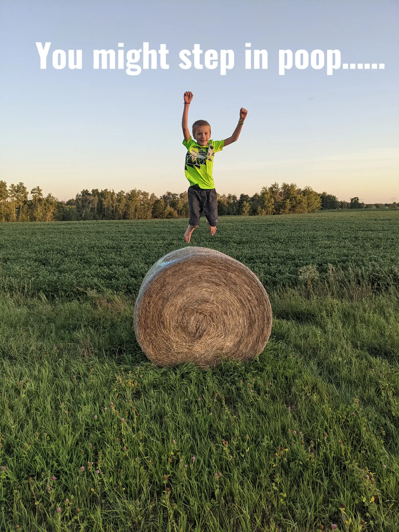 You might step in poop…… | Gallery posted by ⭐️Kelly⭐️ | Lemon8