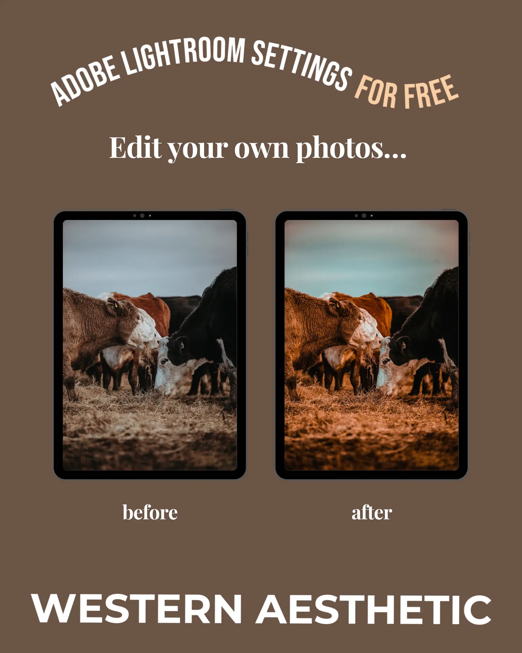 Free Adobe Lightroom Settings | Gallery posted by Jessica Jeneice | Lemon8