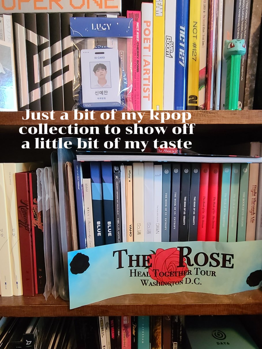 a lot of good bands on this shelf | Gallery posted by vamp | Lemon8