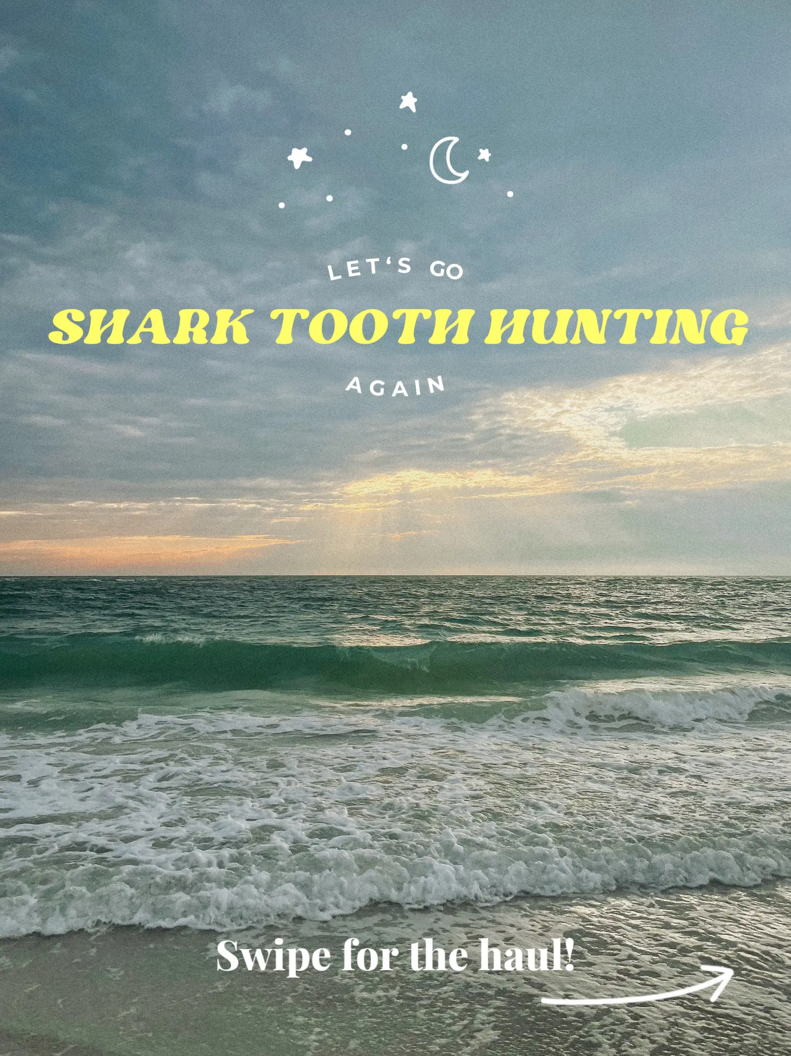 Shark Tooth Hunting | A new hobby?🦈 | แกลเลอรีที่โพสต์โดย Sammi☀️ | Lemon8