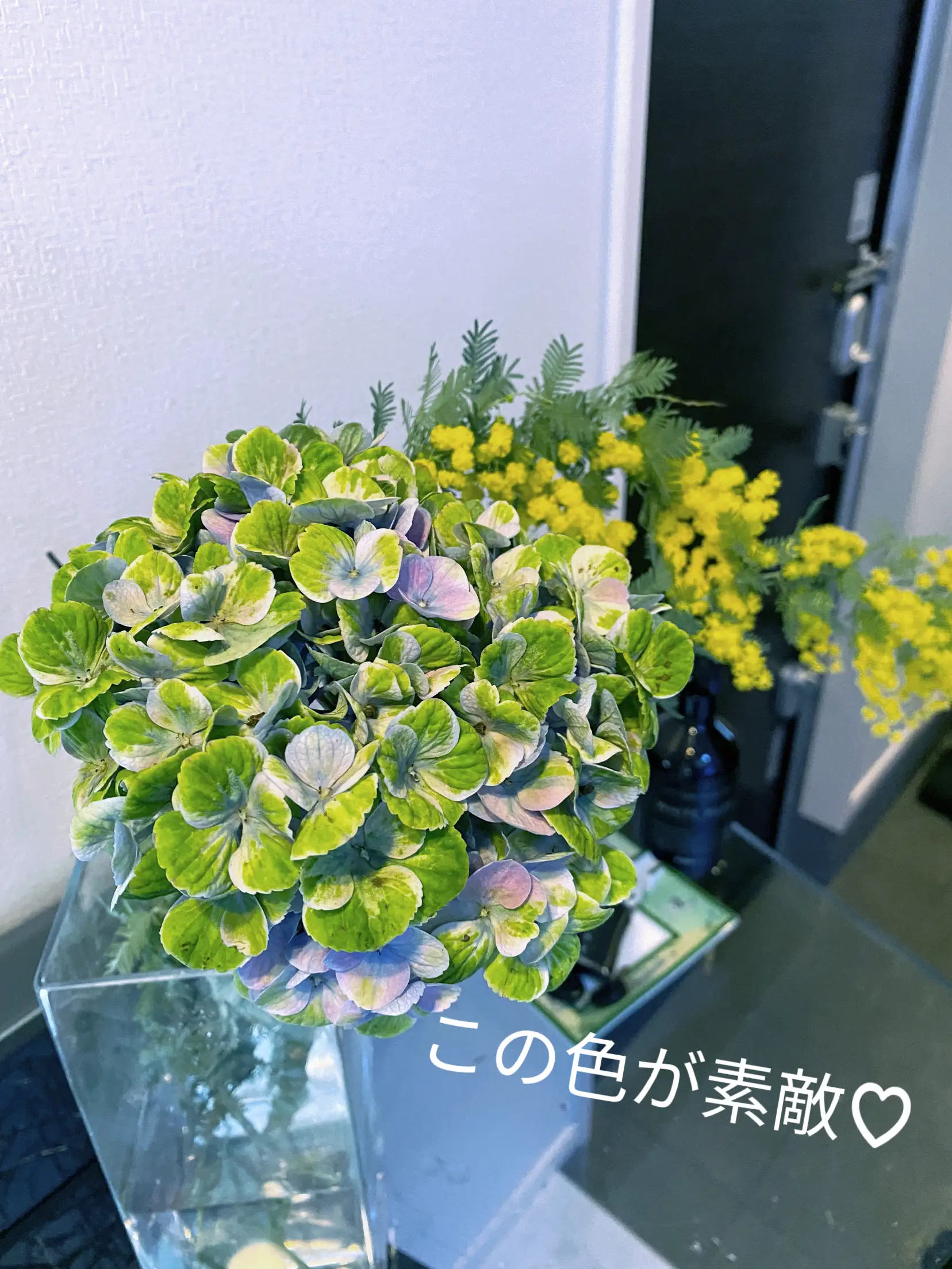 Spring flowers ♡ | Gallery posted by marun | Lemon8