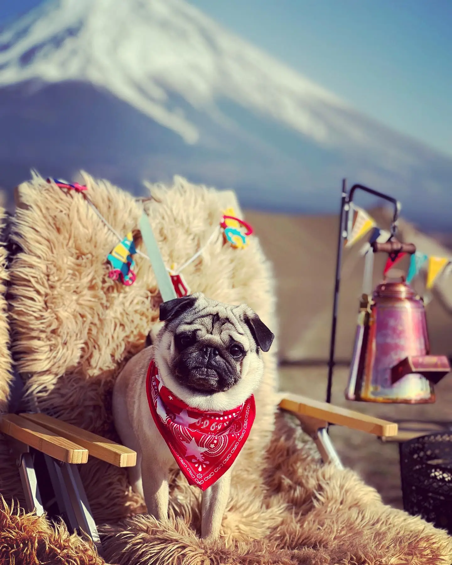 Amaguri 🌰 camp debut🏕 | Gallery posted by okupop | Lemon8