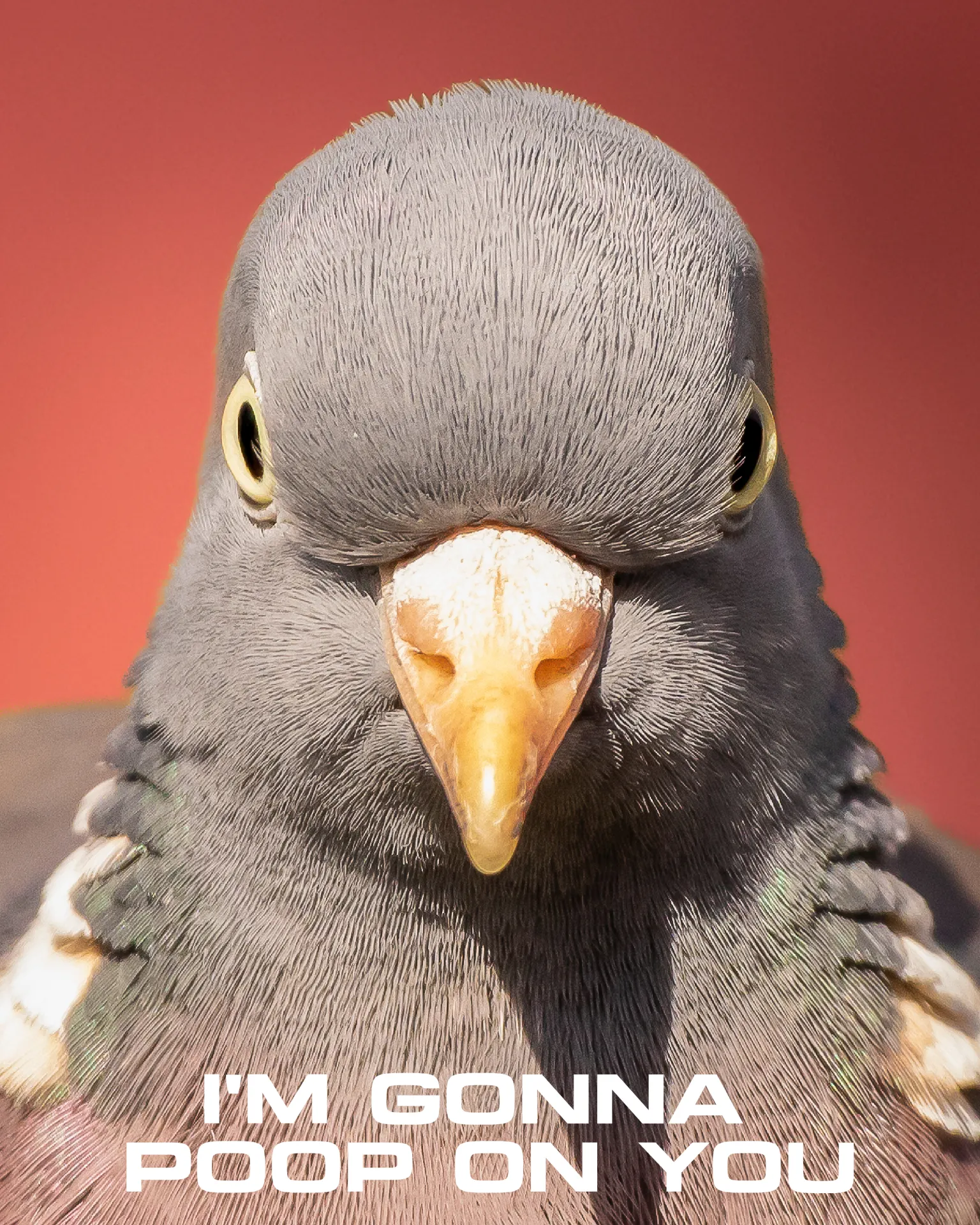 face of revenge😈 | Gallery posted by MuNiPh | Lemon8