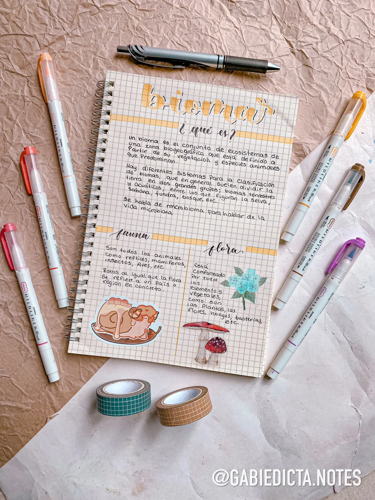 Apuntes bonitos | Gallery posted by Gabiastro.Art | Lemon8