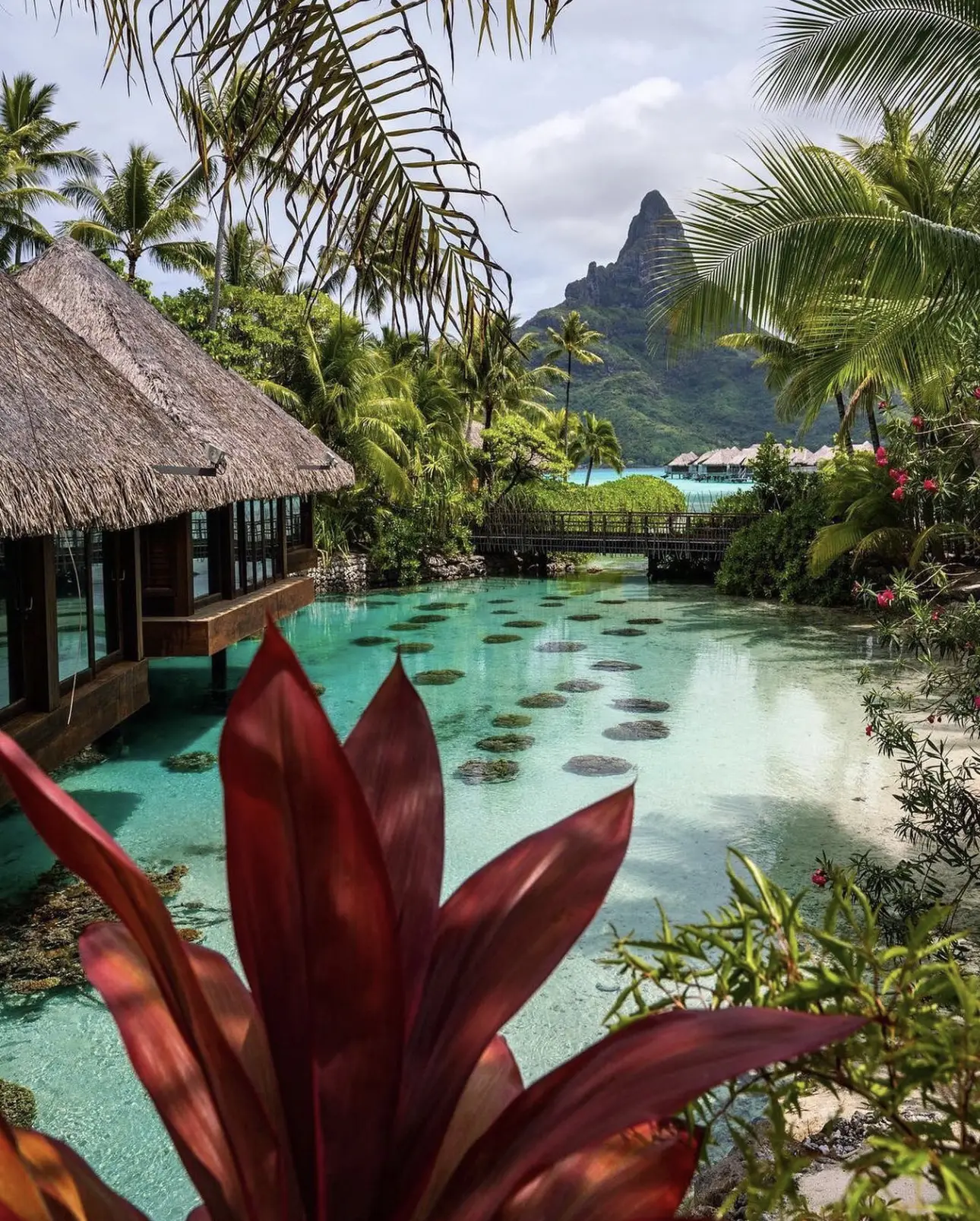 📍4 Seasons Bora Bora | Gallery posted by Bora Bora | Lemon8