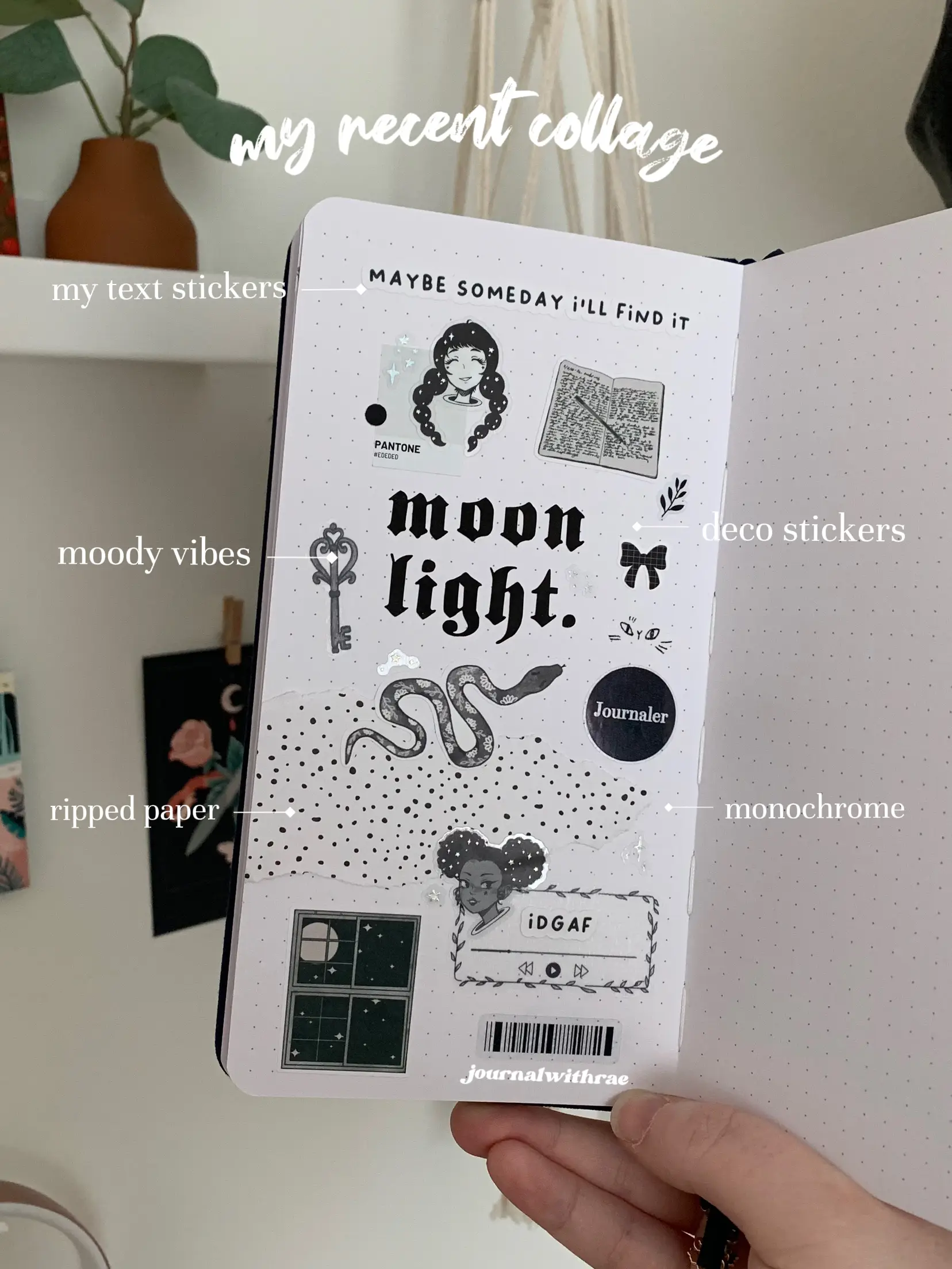 my moody monochrome collage 🖤🤍 | Gallery posted by rae 🧚🏻‍♀️ | Lemon8