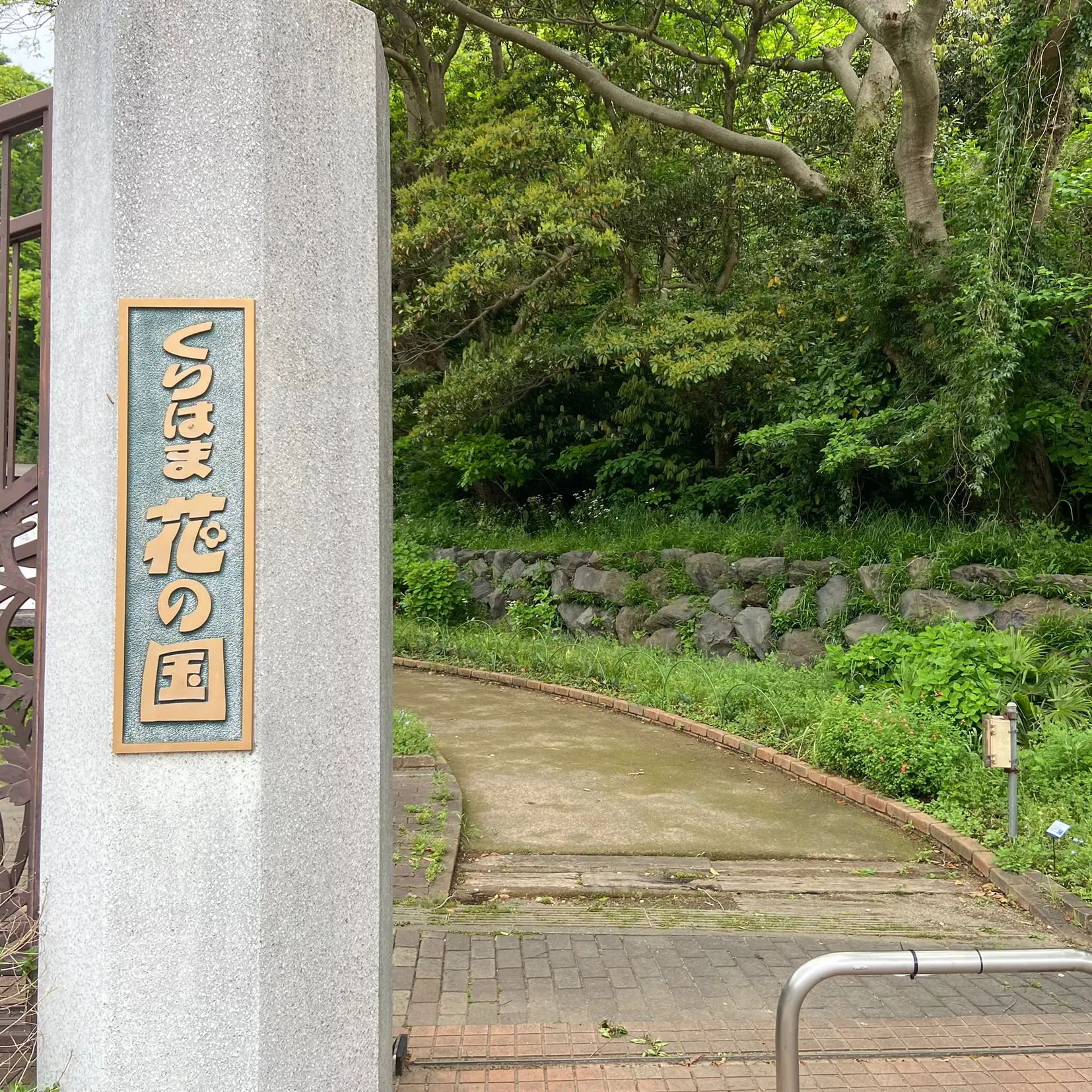 ฉันยังพบรูปแบบที่ผิดปกติ! ฉันไปที่สนามนีโอฟิลาแรก💙 | แกลเลอรีที่โพสต์โดย airi__koizumi | Lemon8