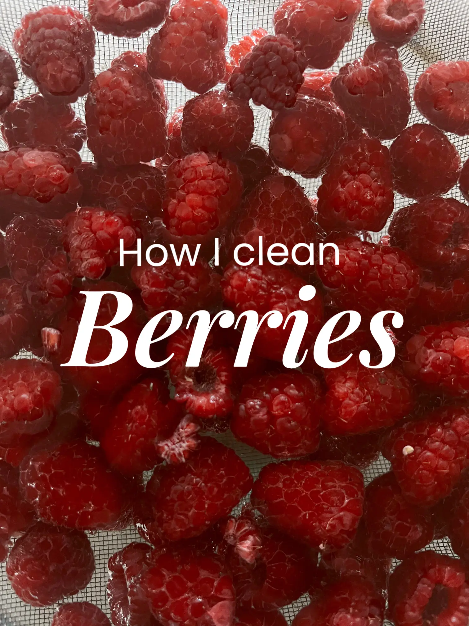 Meal Prep: Cleaning Berries | Gallery posted by Hailey Woodard | Lemon8