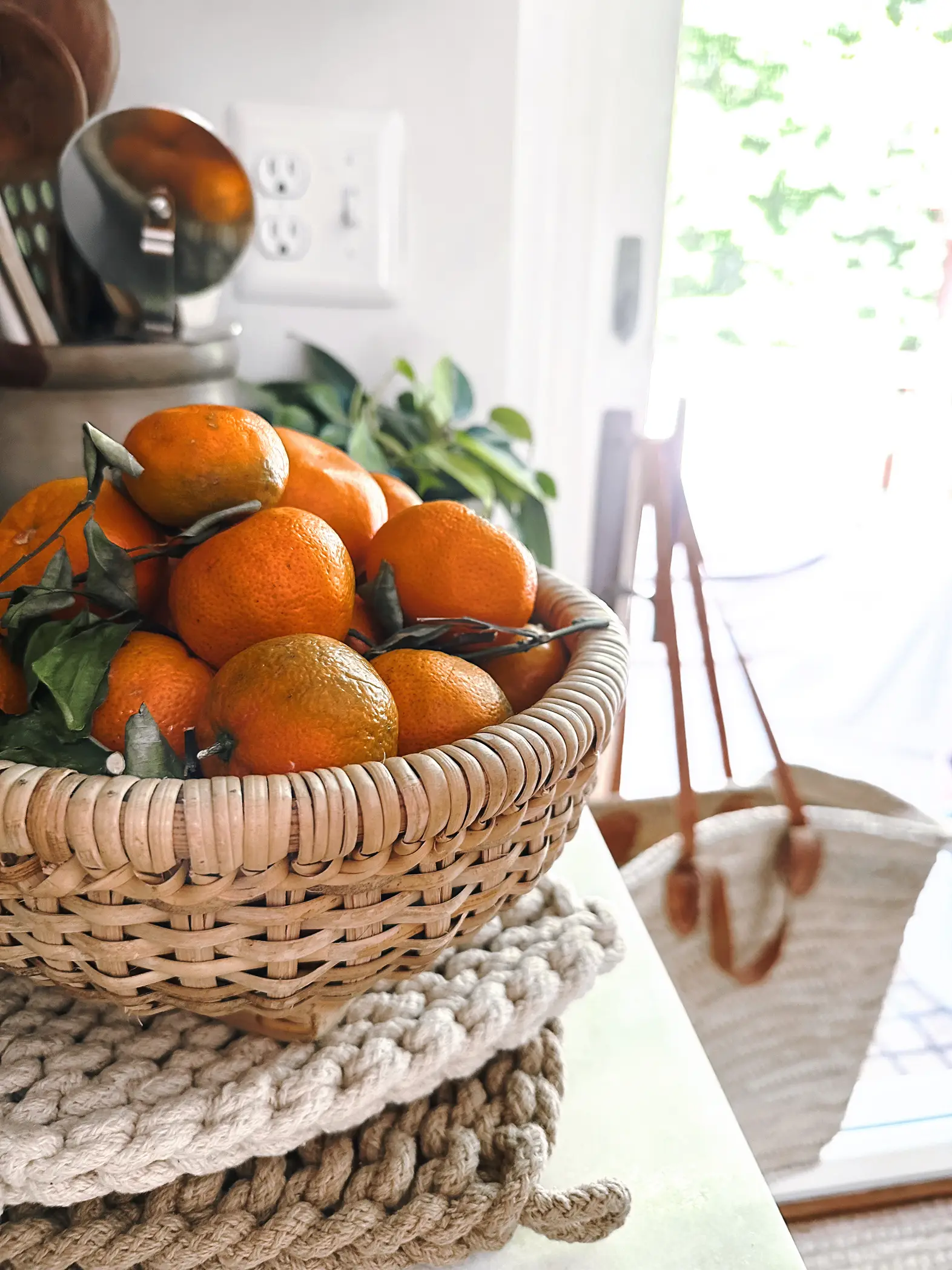 Oh, my darling clementine… | Galeri disiarkan oleh Noelle Huffman | Lemon8