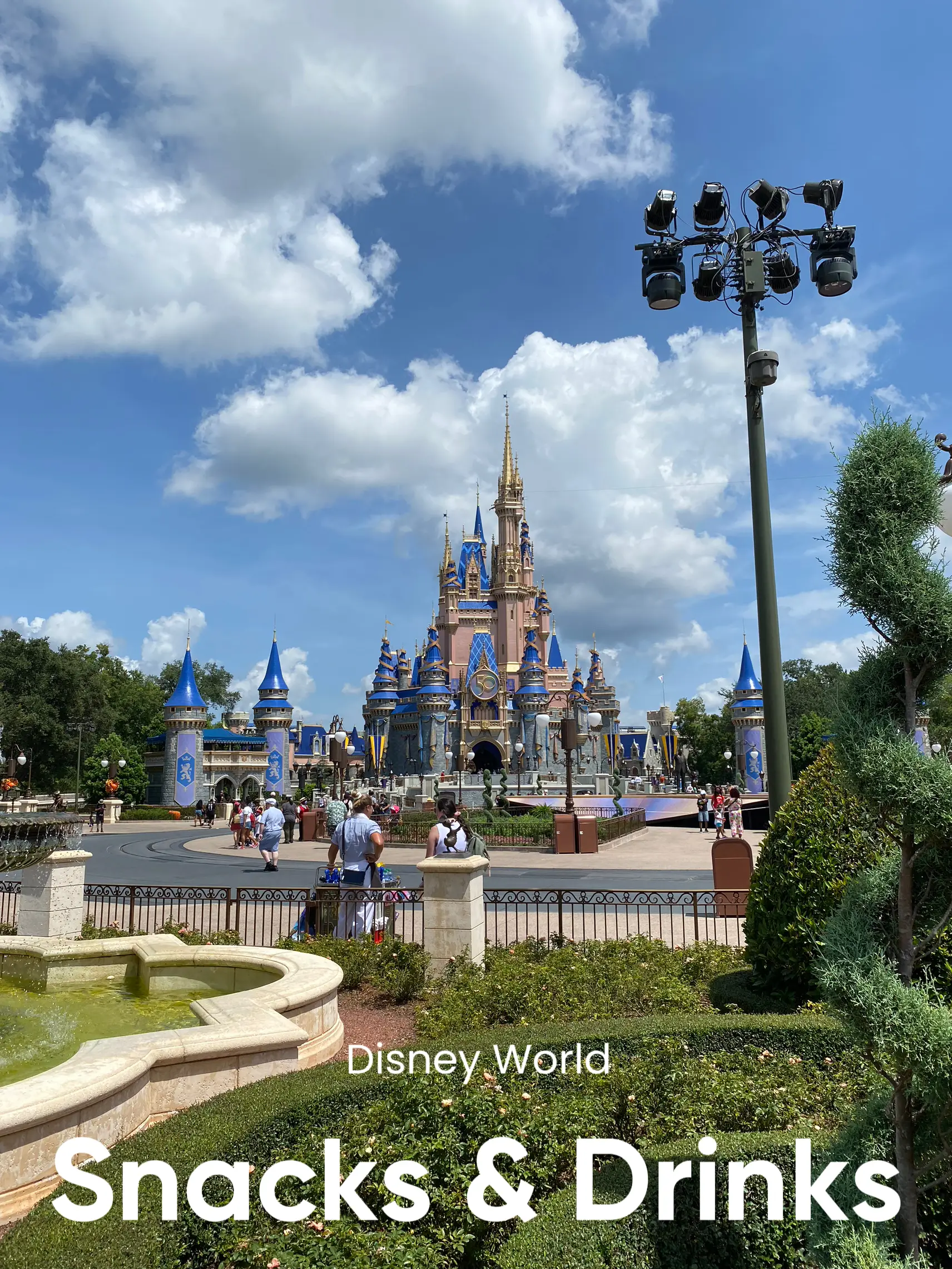 Disney World Snacks and Drinks! | Gallery posted by Hannah Thebeau | Lemon8