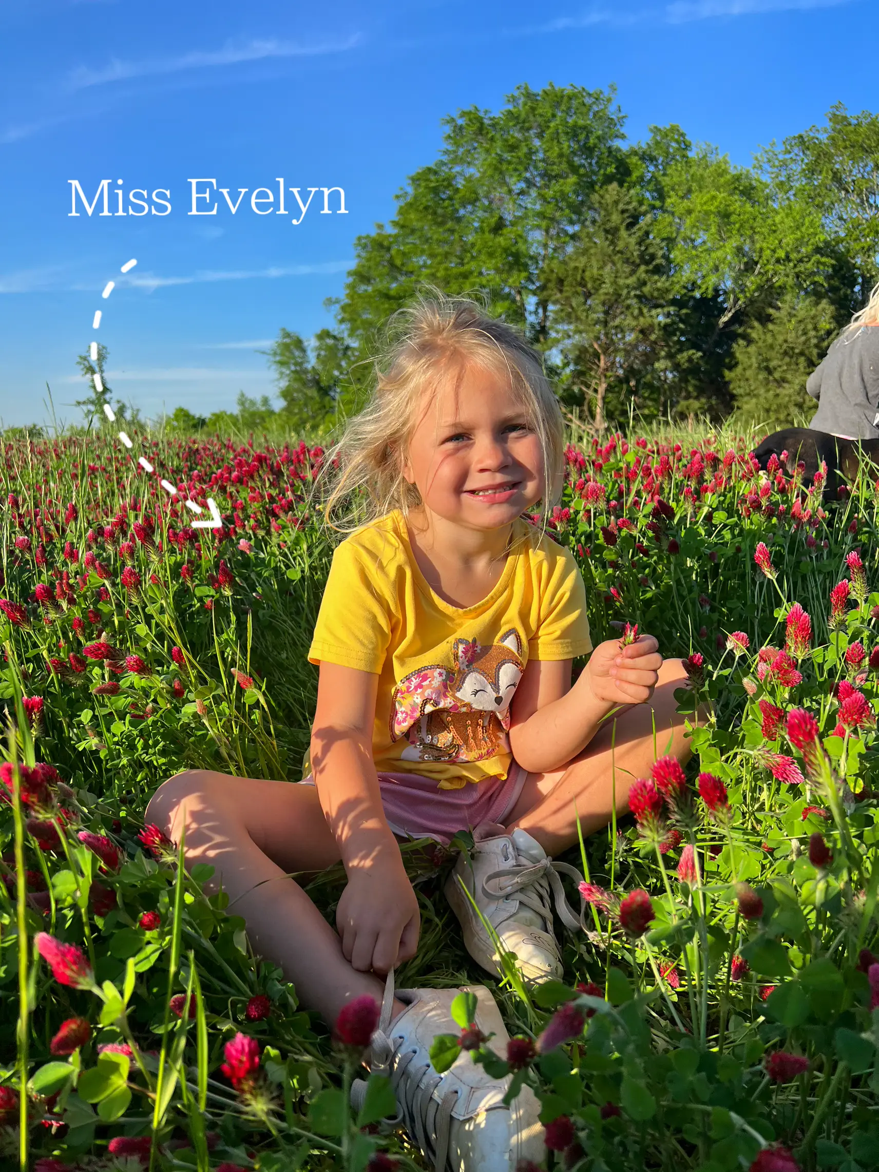 When the clovers bloom! | Gallery posted by Ourwintonhome | Lemon8