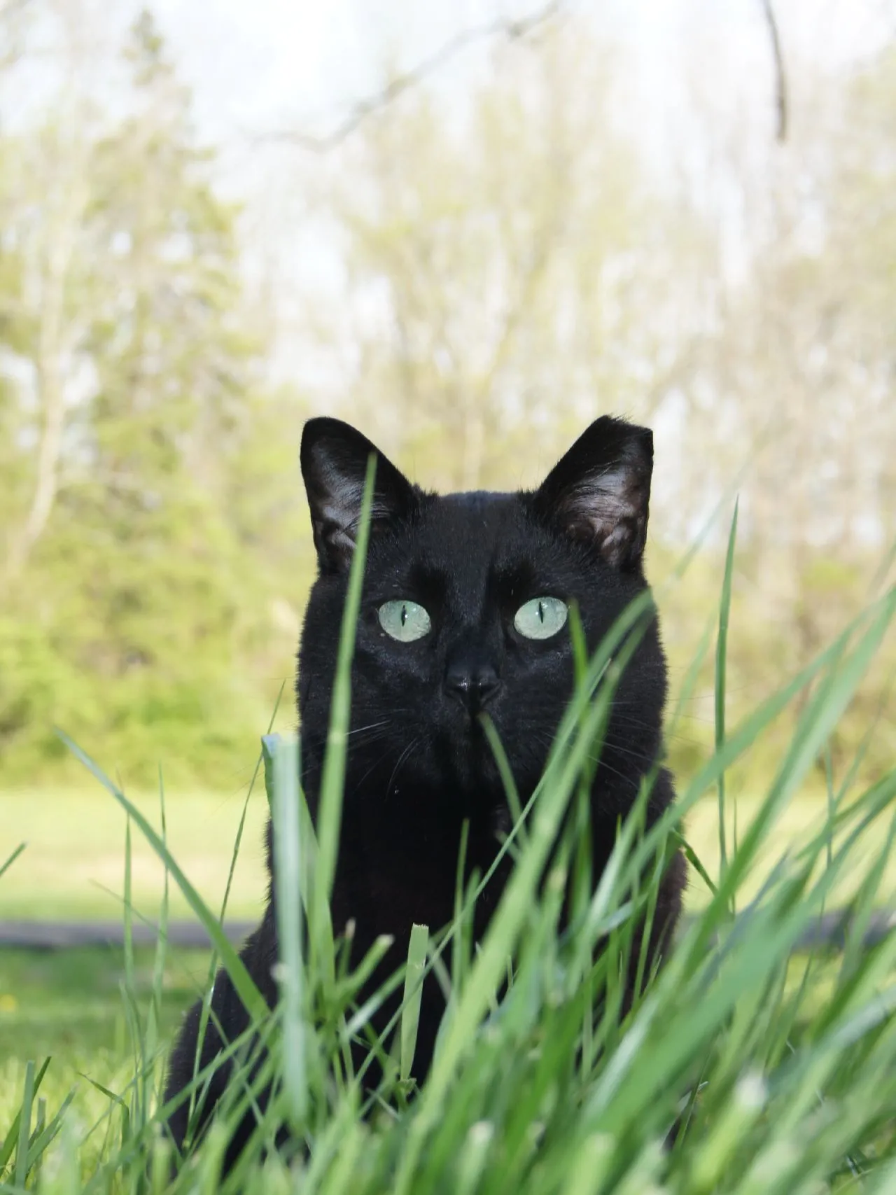 Welcoming myself to lemon8 🍋8️⃣ | Gallery posted by francopants | Lemon8