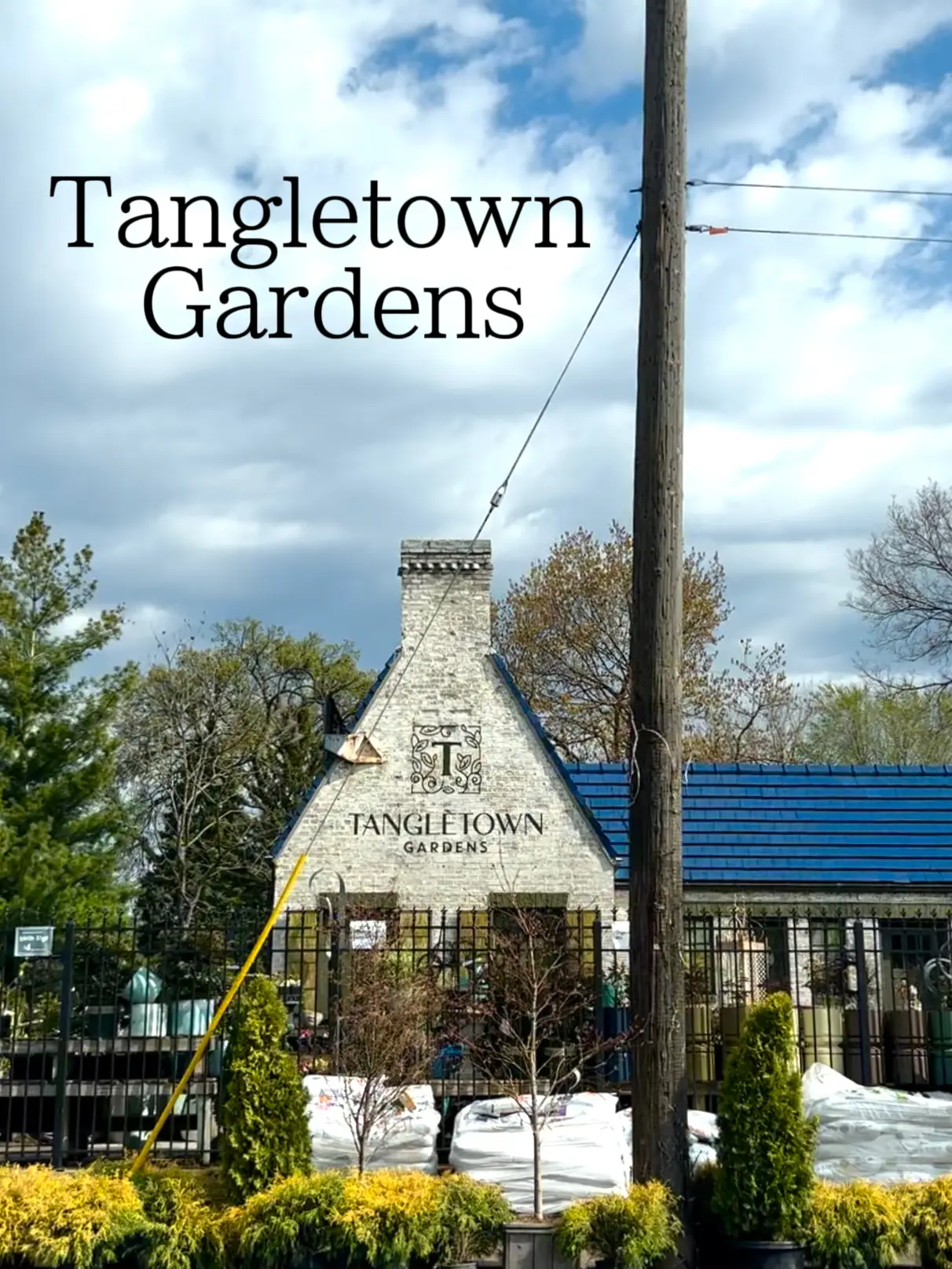 Tangletown Gardens | Gallery posted by Chasinglight | Lemon8