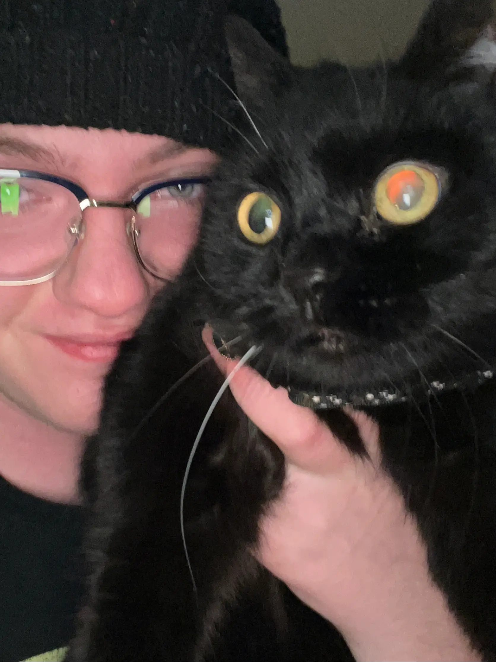 Gossip. | Video published by 🫀 𝔩𝔬𝔤𝔞𝔫 | Lemon8