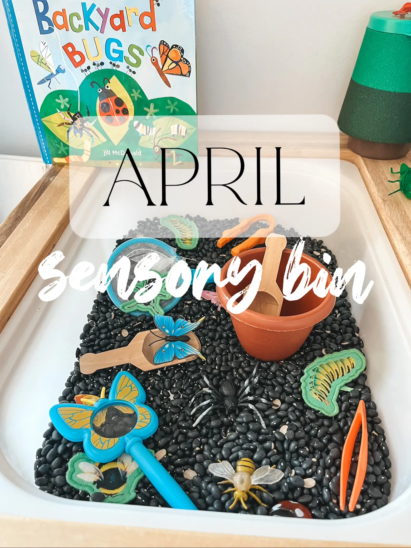 This months garden themed sensory bin! | Gallery posted by ...