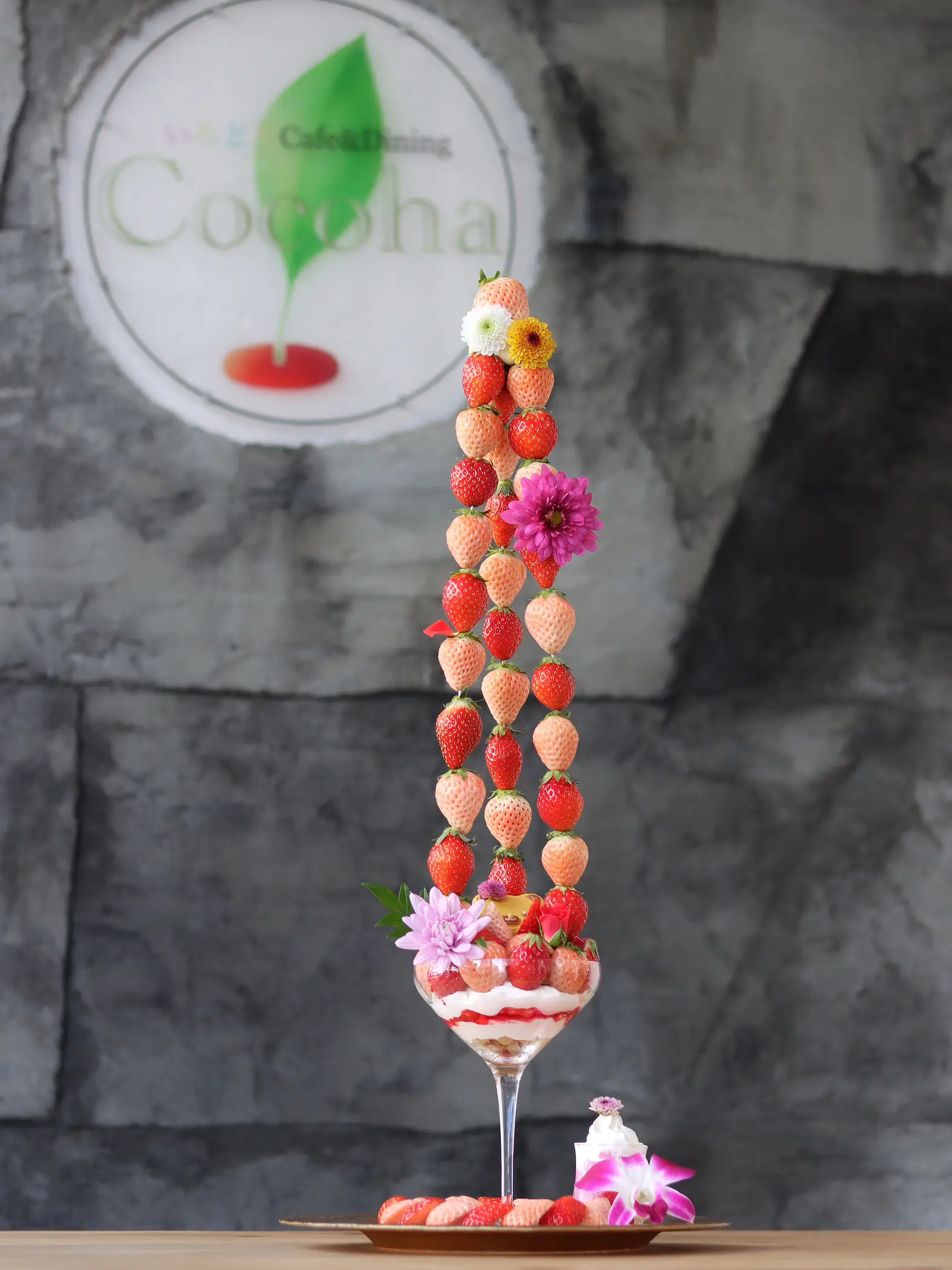 日本一大きい特大いちごパフェ The largest strawberry parfait 🍓🗼 | MOGUMOGU FOODの投稿動画 ...