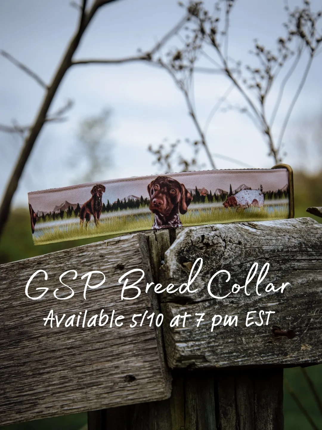 GSP owners, where you at? | Gallery posted by RisingRiverLLC | Lemon8