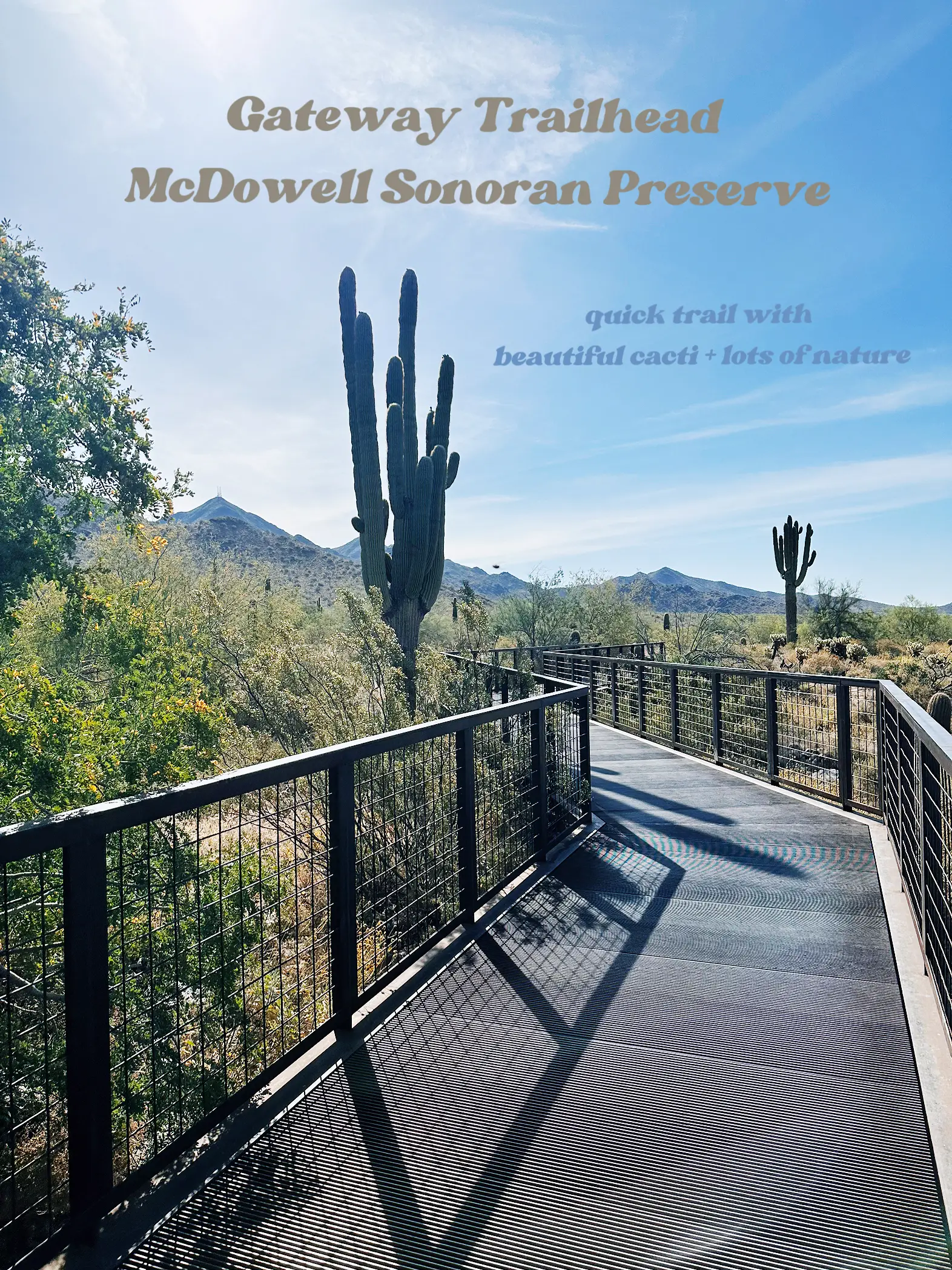 Scottsdale, AZ Recs | Gallery posted by Courtney | Lemon8