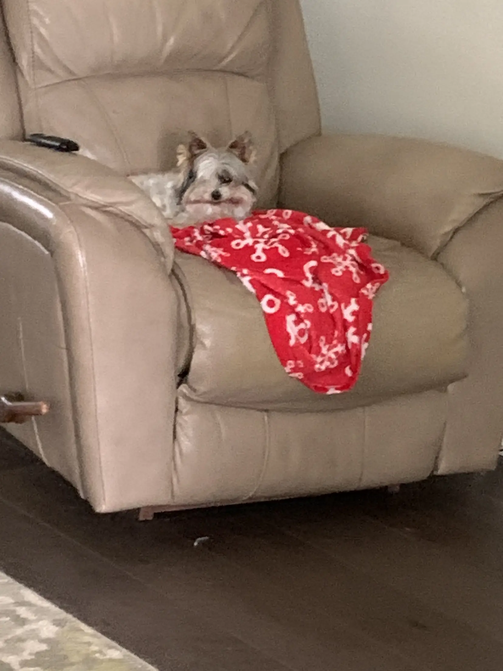 Bless you heart | Gallery posted by The Farm | Lemon8