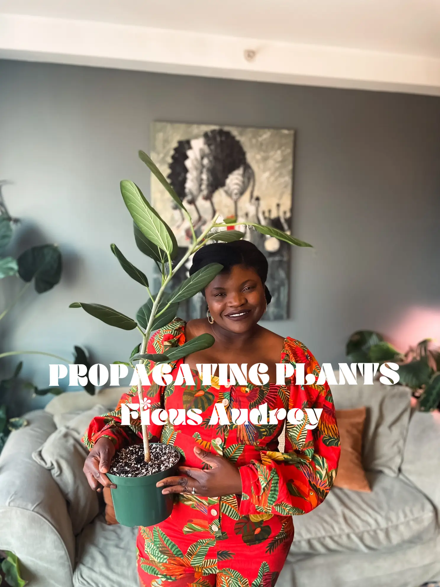 How to make your Ficus bushier | Video published by Efe | Lemon8