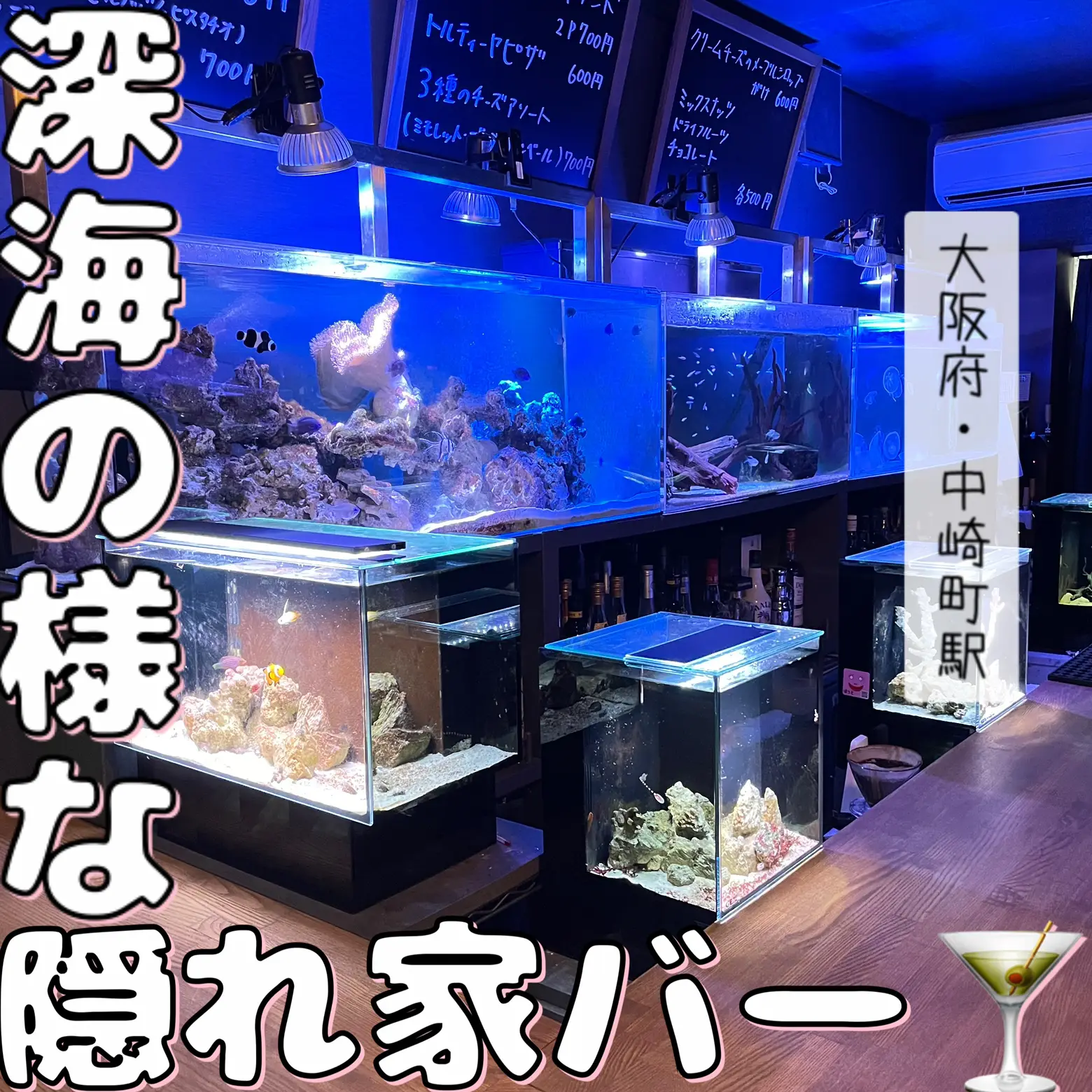 Deep Sea BAR THE DEEP | แกลเลอรีที่โพสต์โดย mのグルメ記録【関西グルメ】 | Lemon8