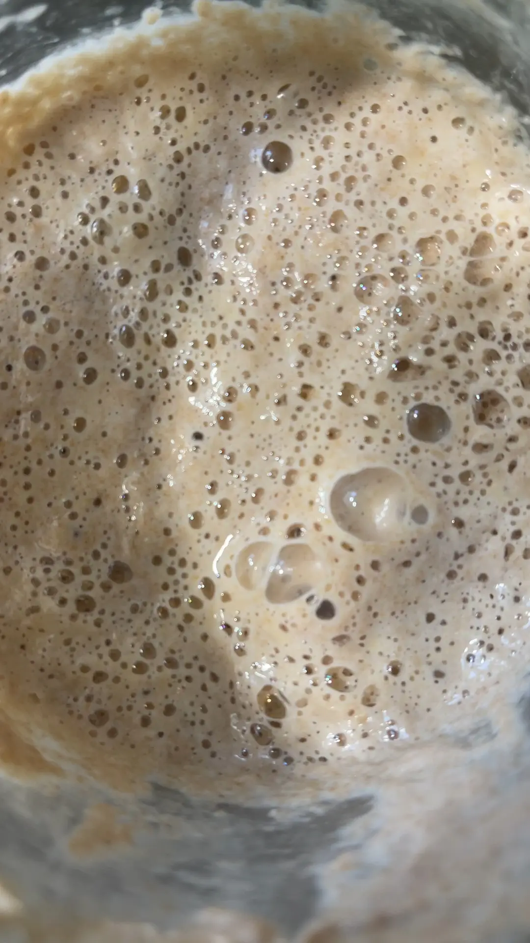 Here’s Today’s Moment of Zen | Video published by Jessica Sweet | Lemon8