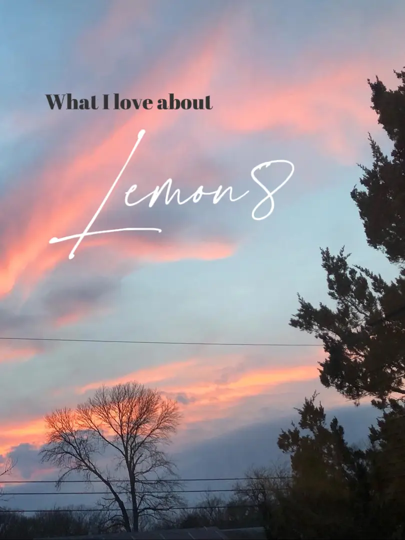 What I LOVE about Lemon8 | Gallery posted by Julia Real | Lemon8