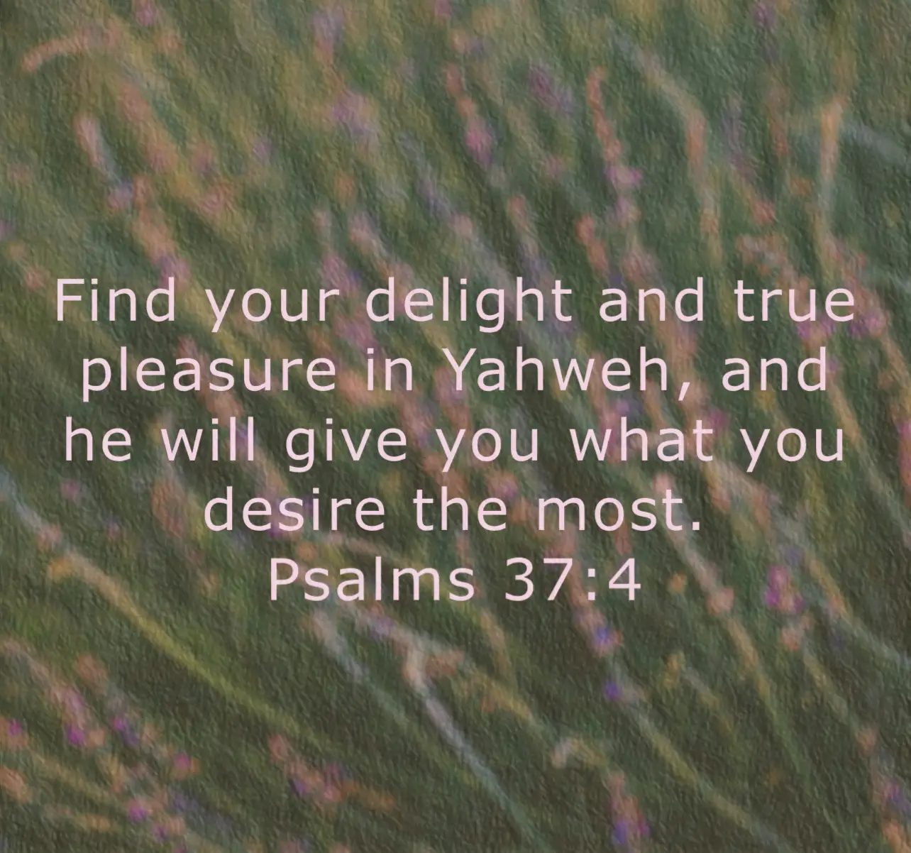 myrandamariner posted a contri | Gallery posted by 𝙼𝚢𝚁𝚊𝚗𝚍𝚊 | Lemon8