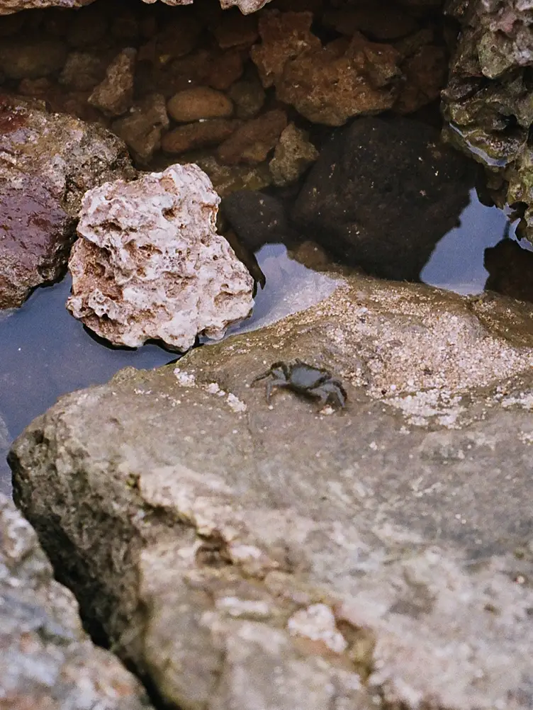 Some recent snaps 📸 | แกลเลอรีที่โพสต์โดย Jillian Nichols | Lemon8