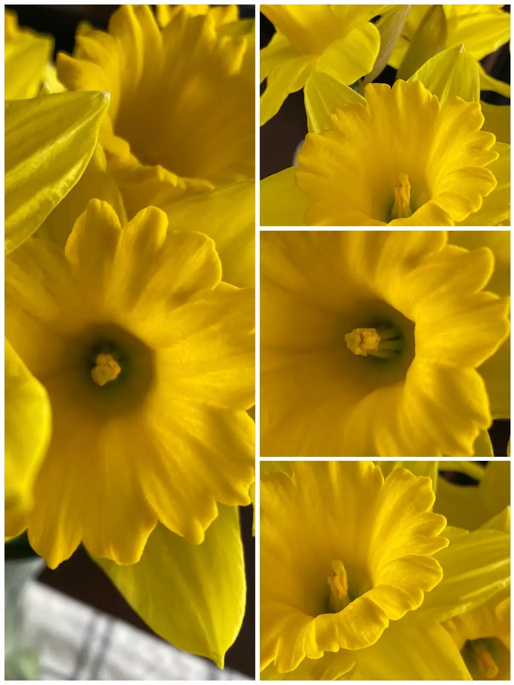 Yellow Mood | Gallery posted by Advie | Lemon8