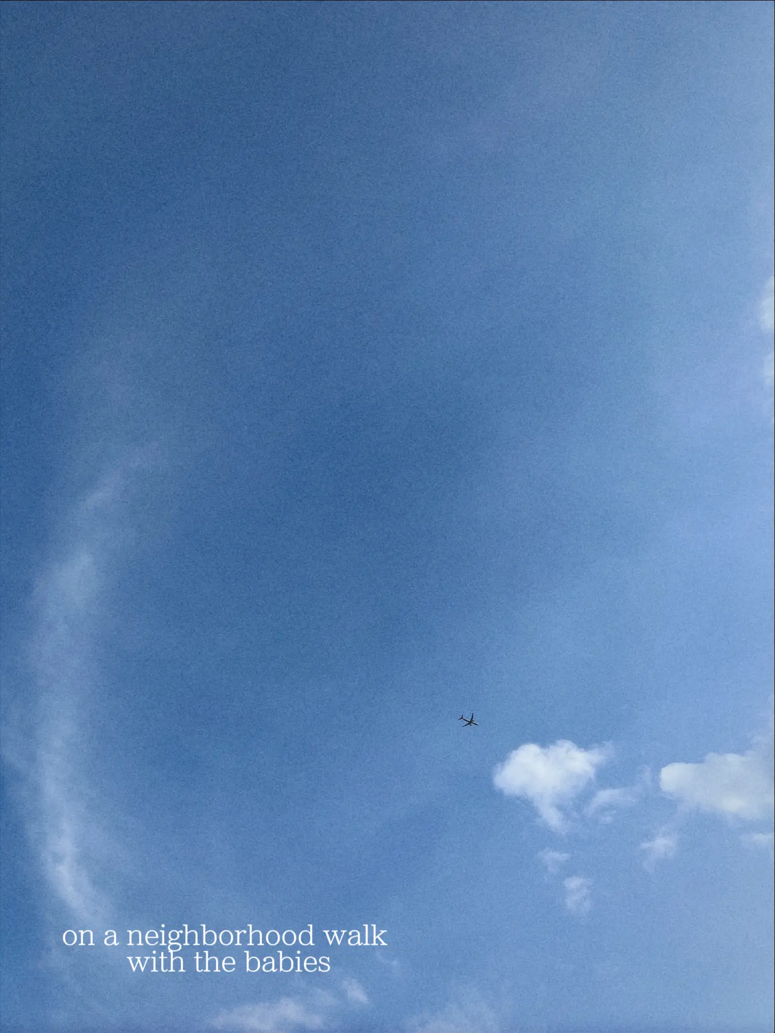 today’s random snapshots🍄 | Gallery posted by rojeen 🖤 | Lemon8