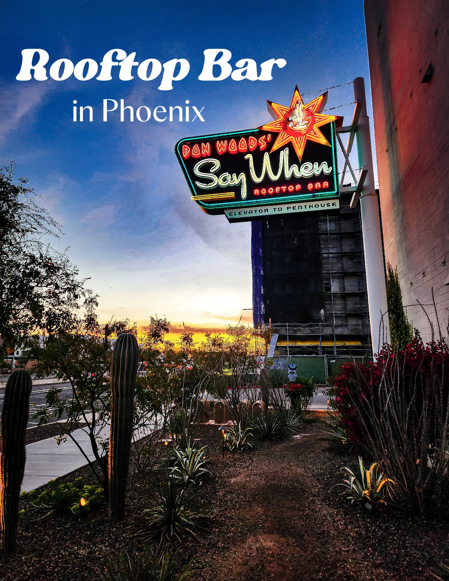 Beautiful Rooftop Bar in Phoenix 🥃 | Gallery posted by Chelsey H. | Lemon8