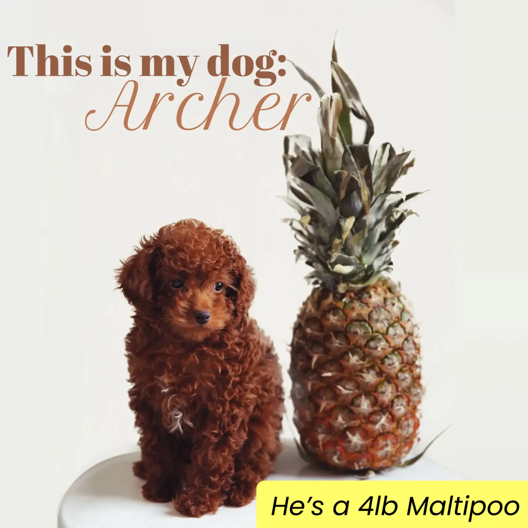 Hi! I’m Caitlin! | Gallery posted by 🫧Caitlin🫧 | Lemon8