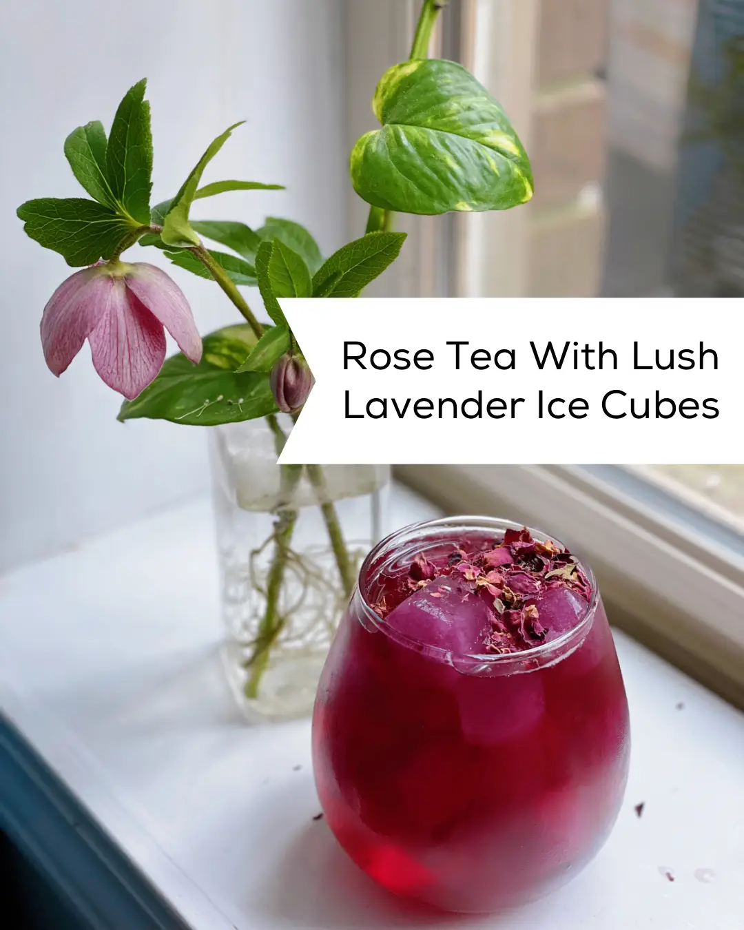 Rose Tea With Lavender Ice Cubes💜 | Gallery posted by Loose Leaf 🍵 | Lemon8