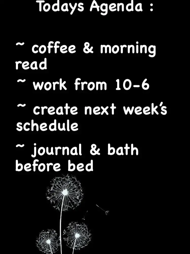 Todays Agenda | Gallery posted by Beautiful_Ray | Lemon8