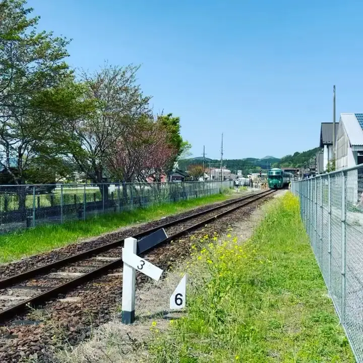 Yufuin no Mori-go | วิดีโอที่เผยแพร่โดย ☆M ☆ | Lemon8