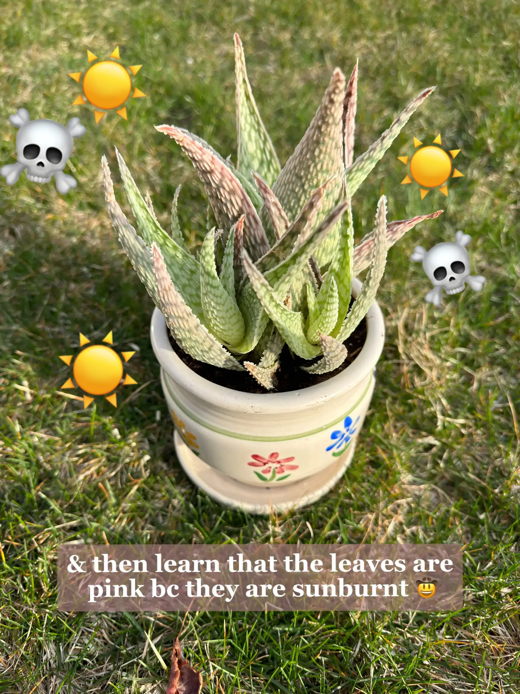 It’s a sunburn slay tbh | Gallery posted by Lauren Beck | Lemon8