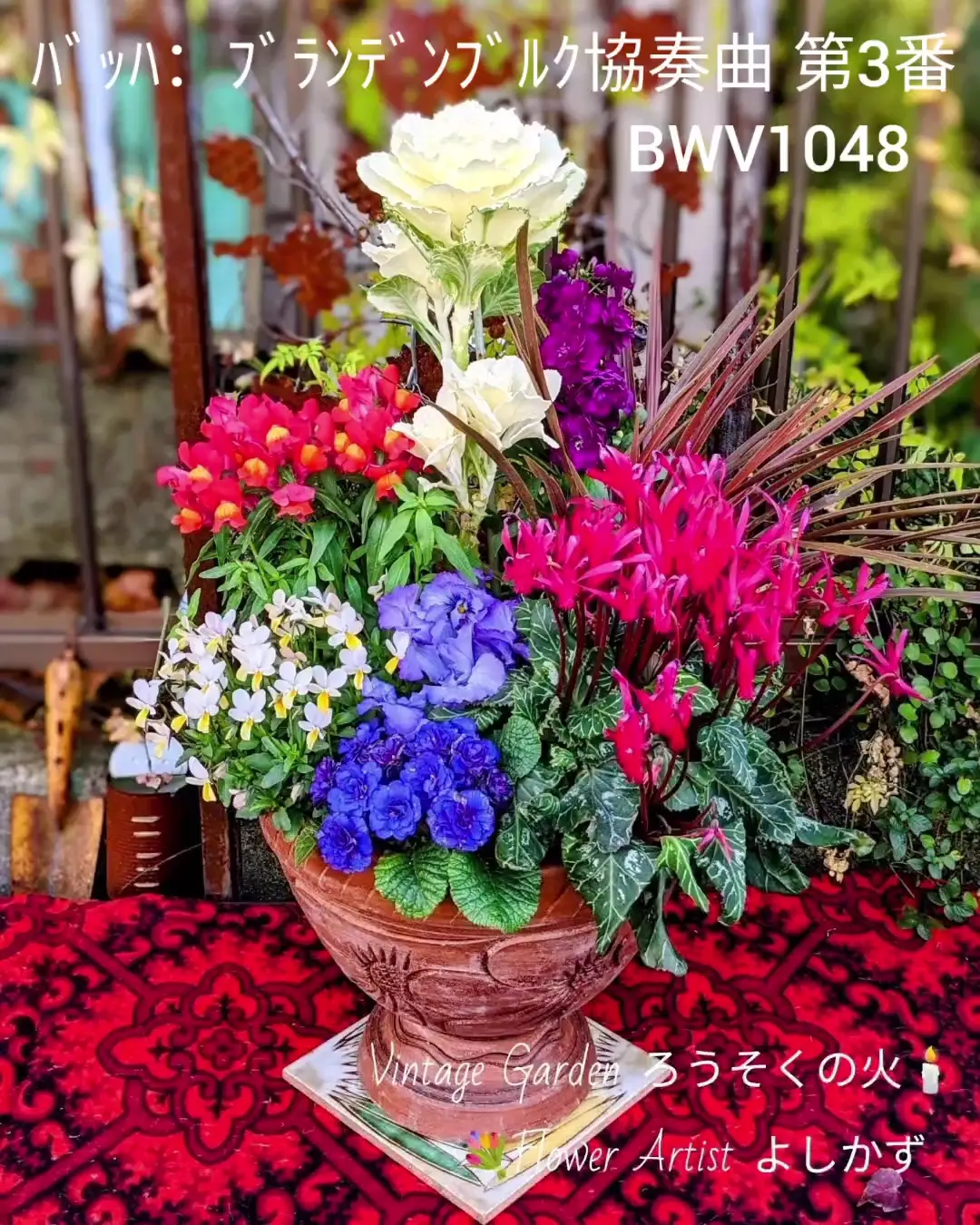 1分‼️勝負日やる気·気持ちを高めたい時に/高貴な🎻ﾊﾞｯﾊ の美音とｴﾈﾙｷﾞｯｼｭ💐寄植えが覚醒 | 花 artist yoshiの投稿動画 | Lemon8