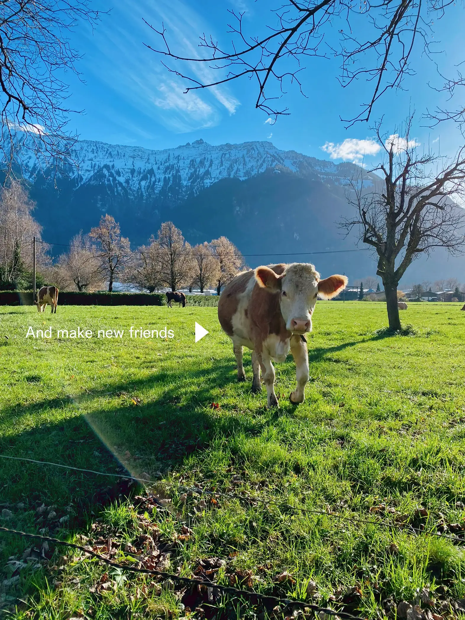 Interlaken Guide 🇨🇭 | แกลเลอรีที่โพสต์โดย Katie Judge | Lemon8