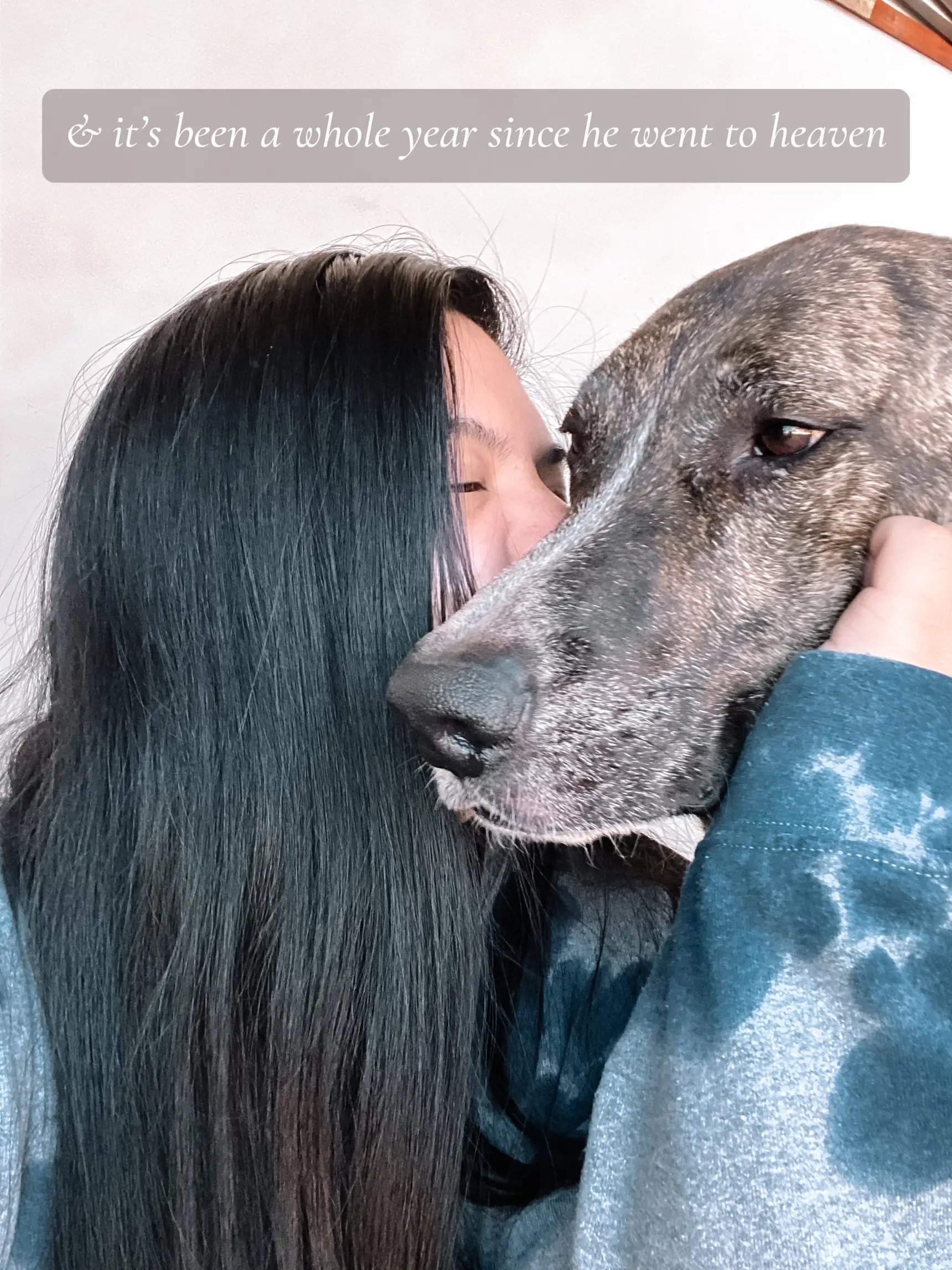 his name was Orion… | Gallery posted by Jasmine Celeste | Lemon8