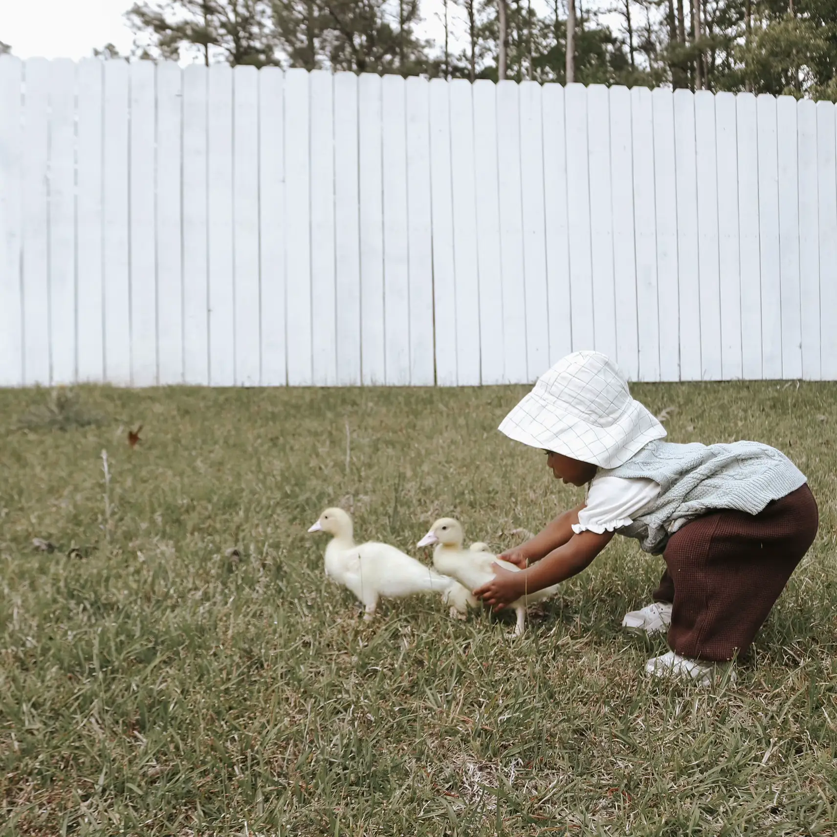 Duck Whisperer | Gallery posted by Brittany Turner | Lemon8
