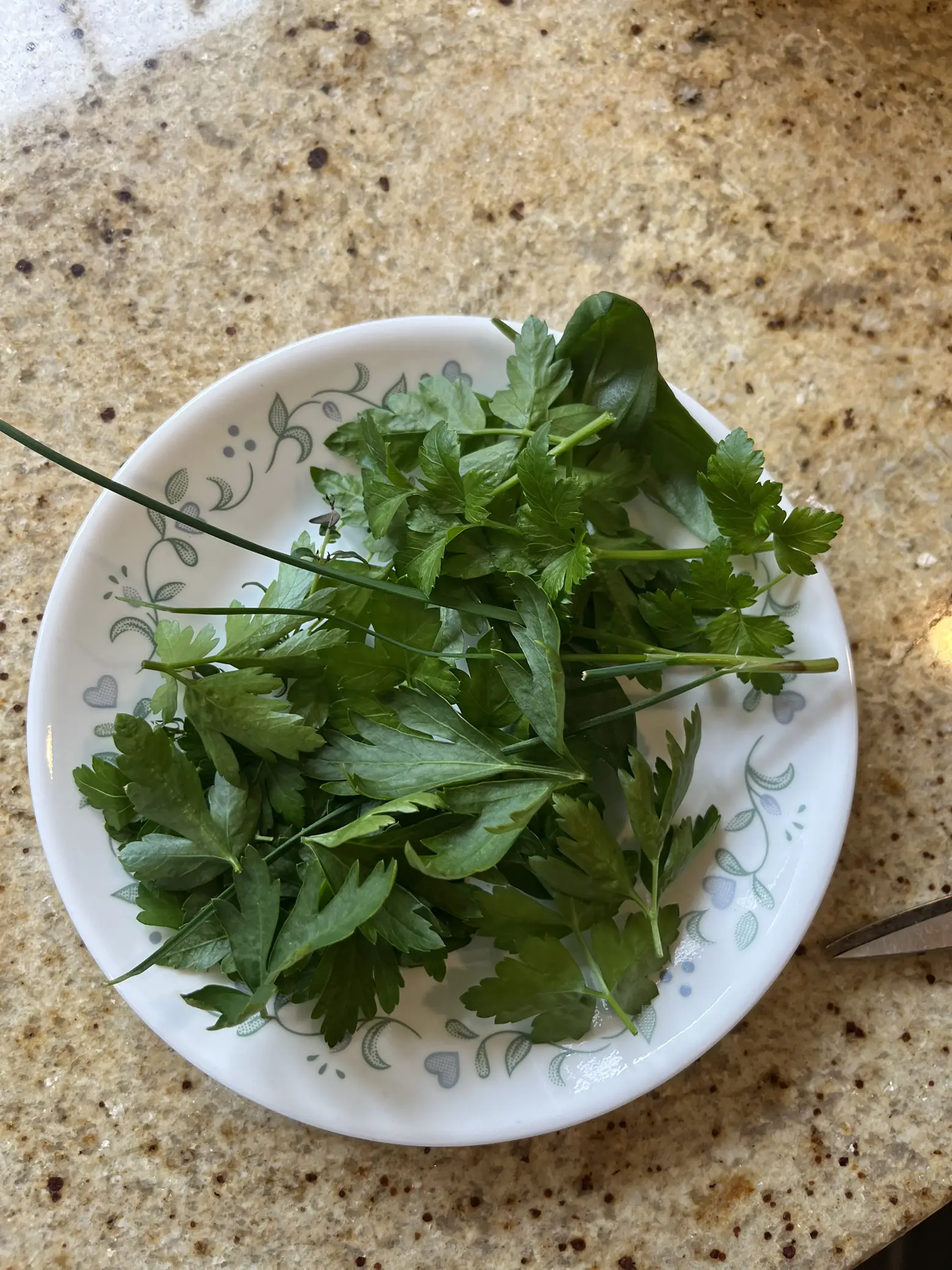 Why I recommend hydroponic gardening | Gallery posted by MARlNA | Lemon8