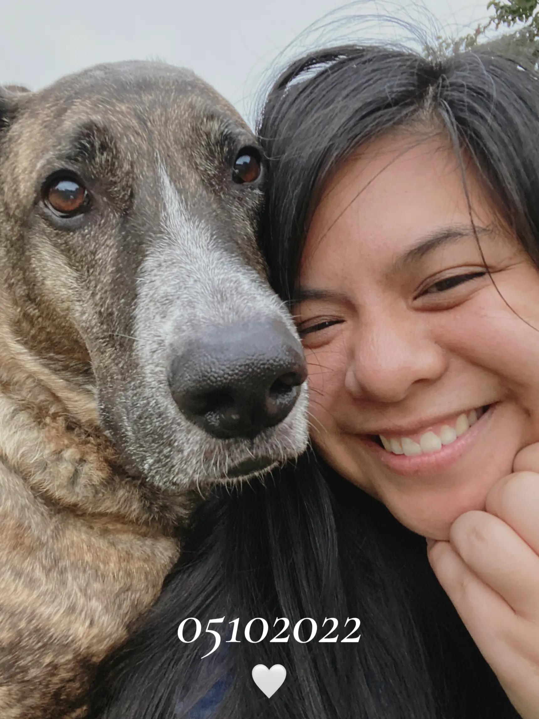 his name was Orion… | Gallery posted by Jasmine Celeste | Lemon8