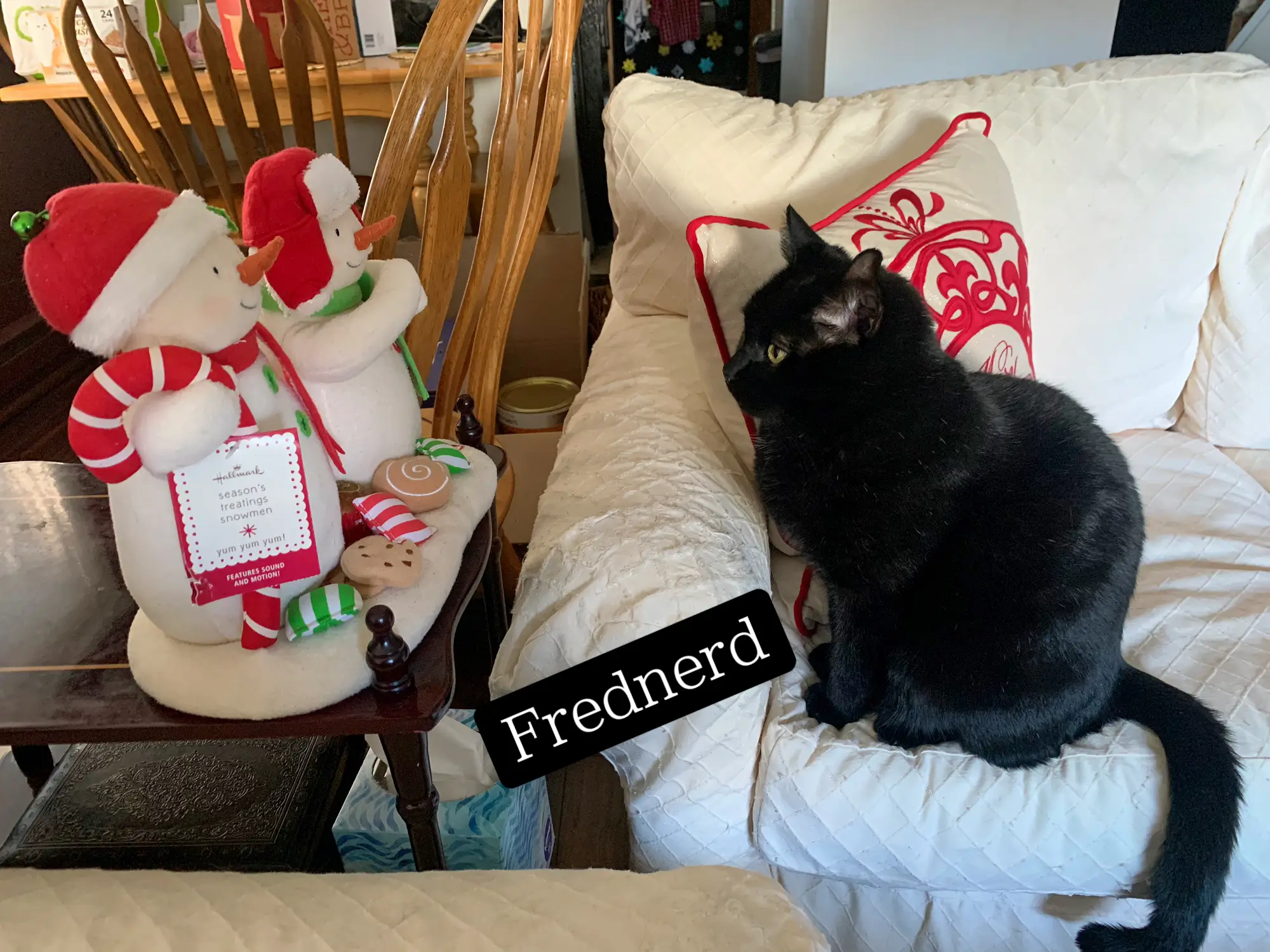 Get to know me! Hi! I’m Carissa, new to Lemon8 :) | Gallery posted by Rissi_28 | Lemon8