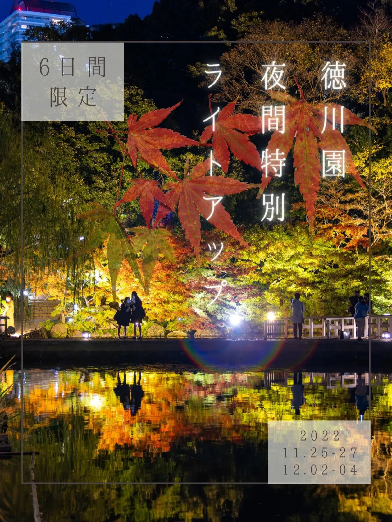 Light up for 6 days only! Autumn leaves full of history and emotion ...