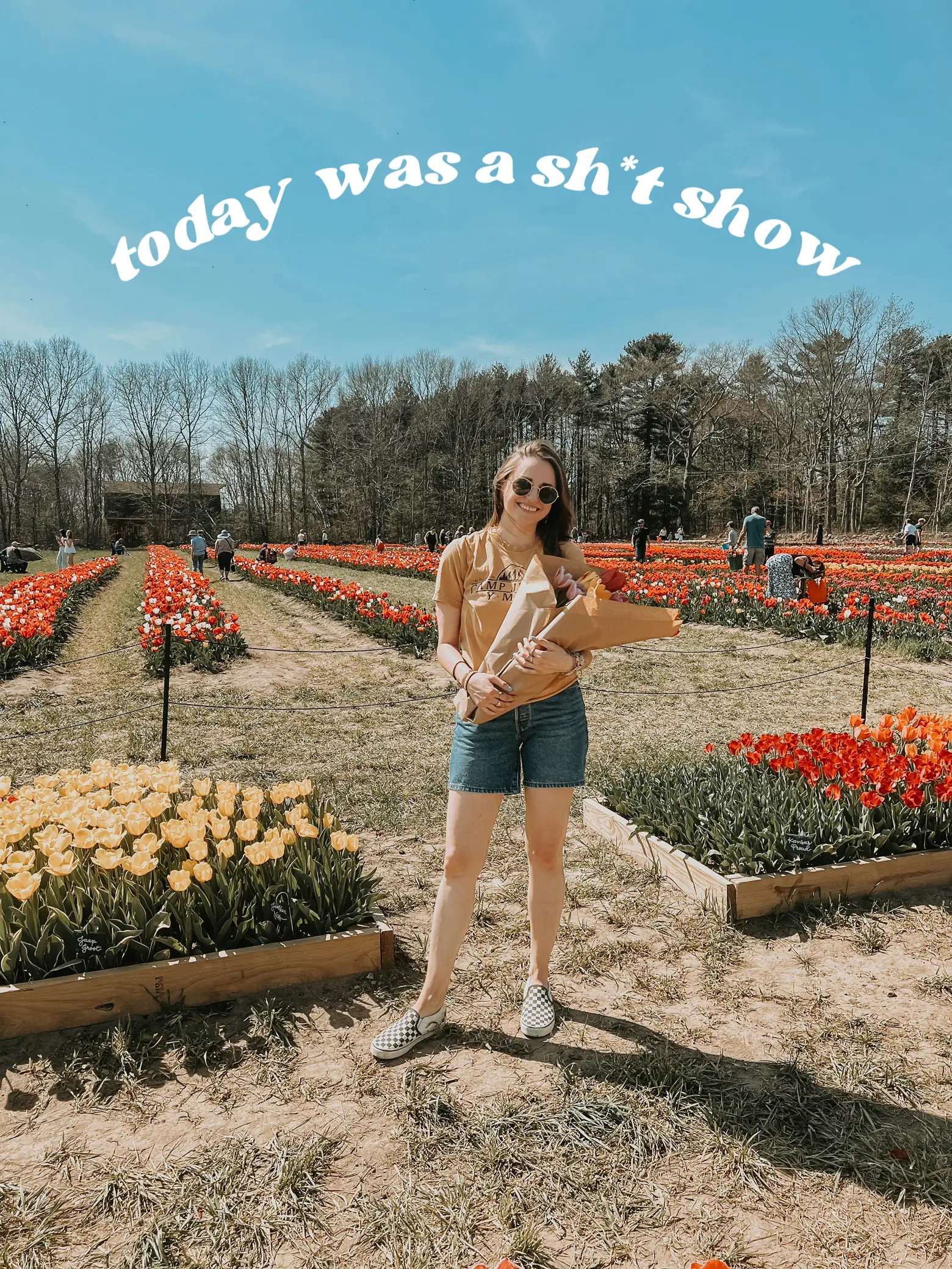 wildfires in rhode island | Gallery posted by shaina 🌈 | Lemon8