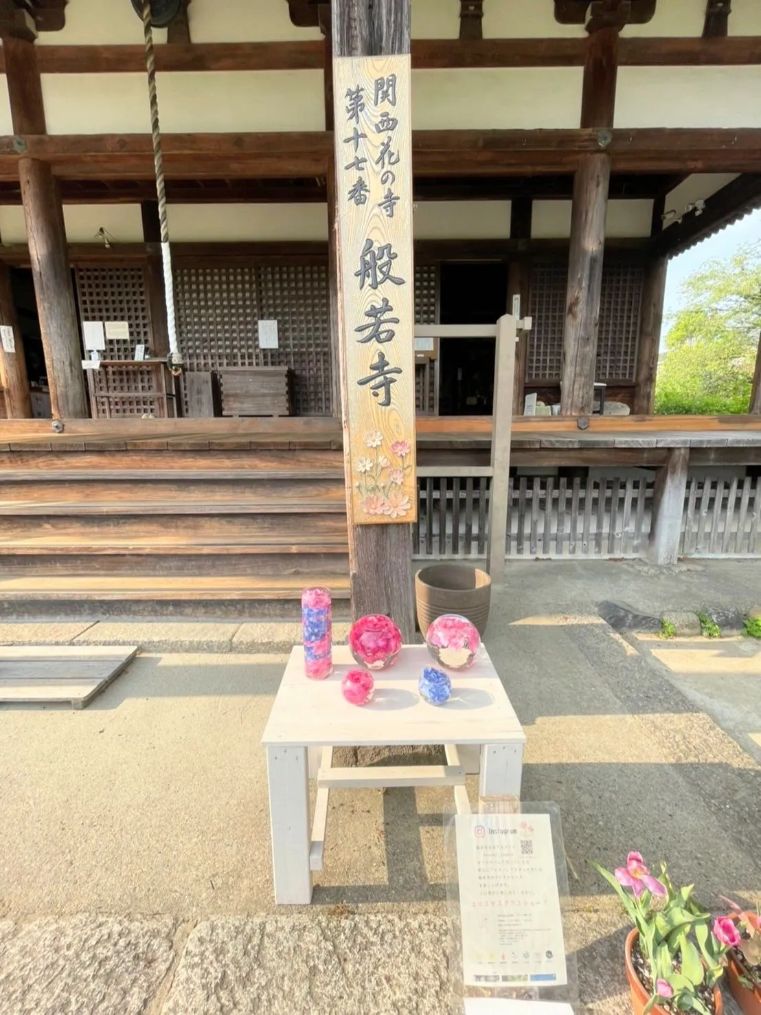 ไฮเดรนเยียในแก้วระยิบระยับ วัดฮันยาจิของ Hana💕 | แกลเลอรีที่โพสต์โดย tink🧚🏻‍♀️ | Lemon8