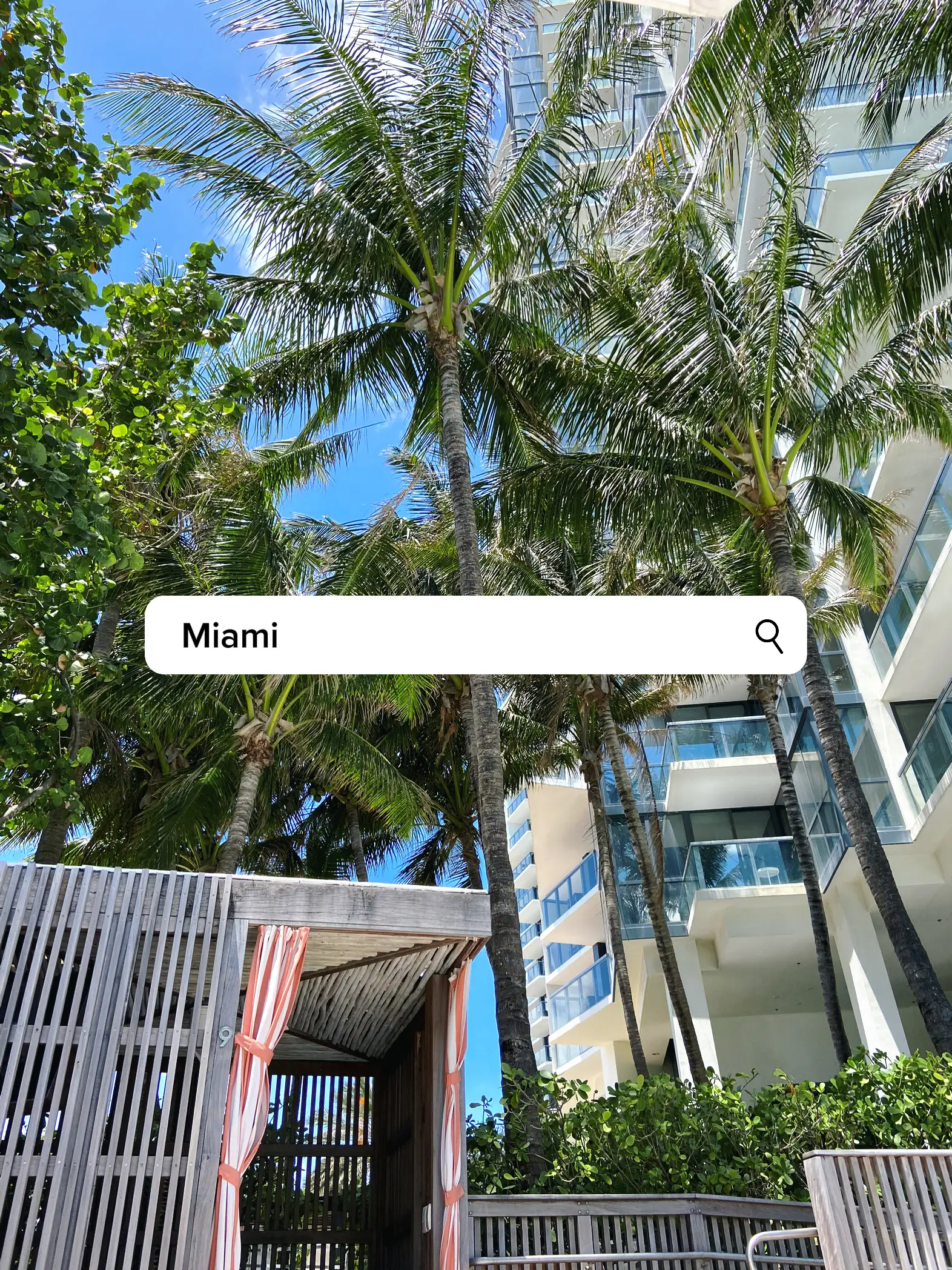 Miami 🌴 | Gallery posted by Audrey | Lemon8